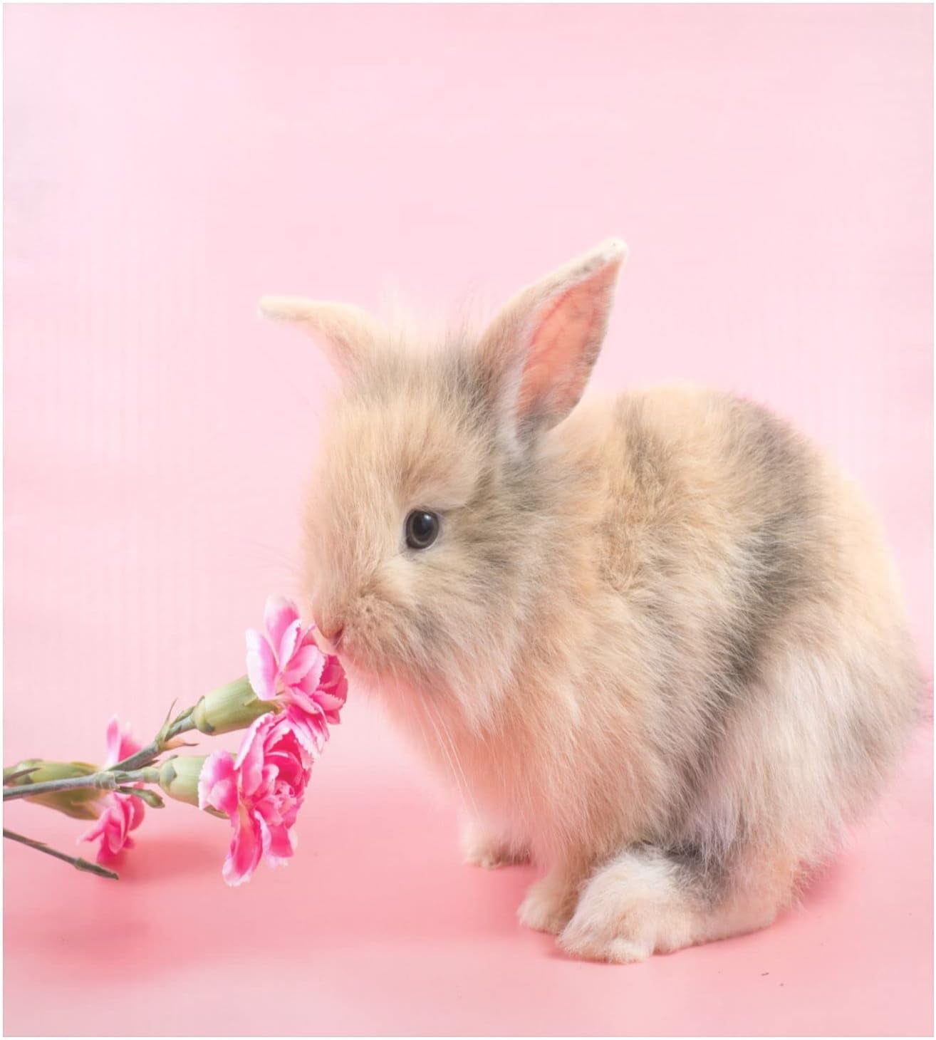 Wellsay Wolf in The Night Sky Magnetic Dishwasher Cover, 23x26in ...