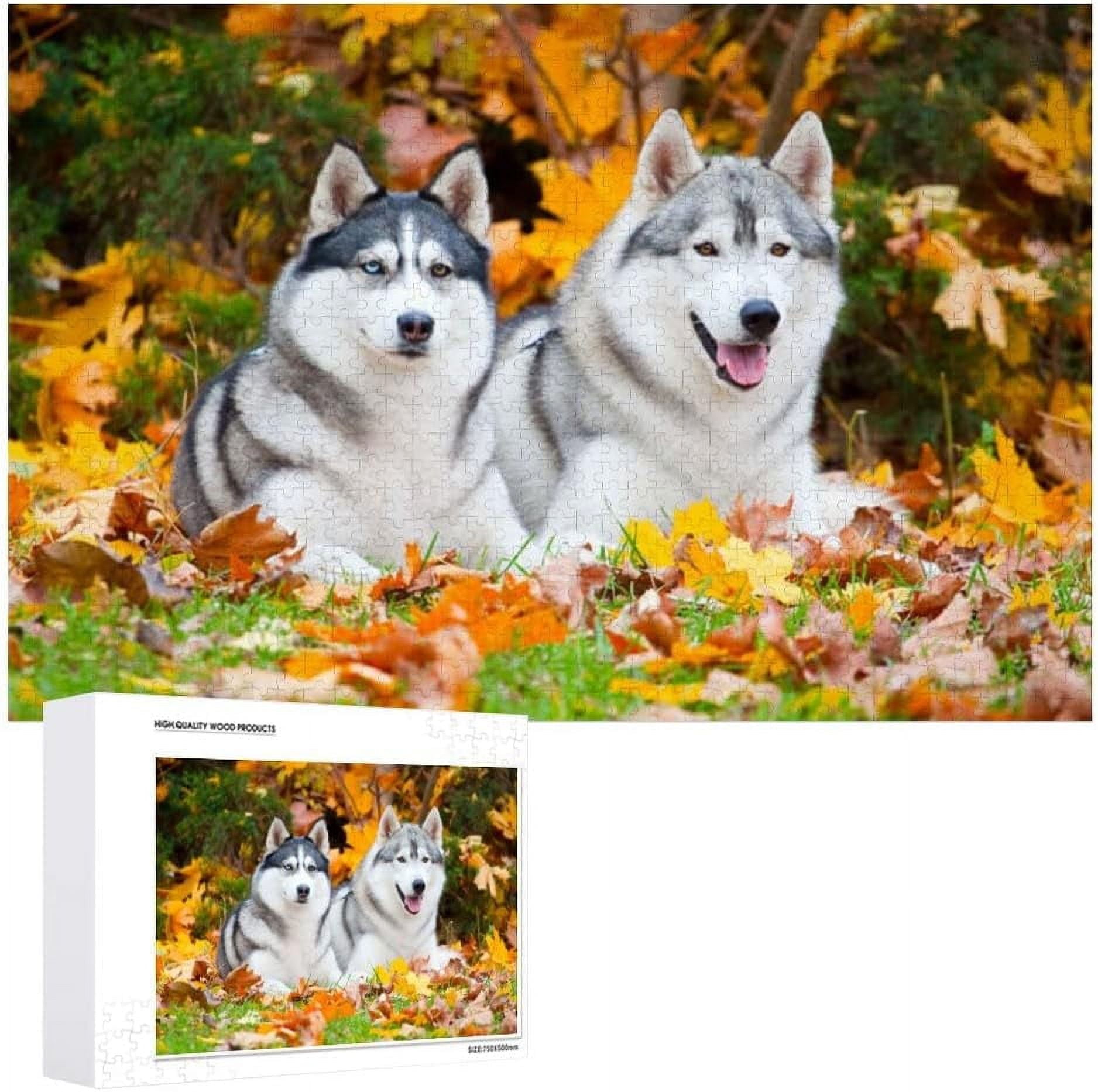 Wellsay Wooden Jigsaw Puzzles 500 Pieces Happy Siberian Huskies in ...