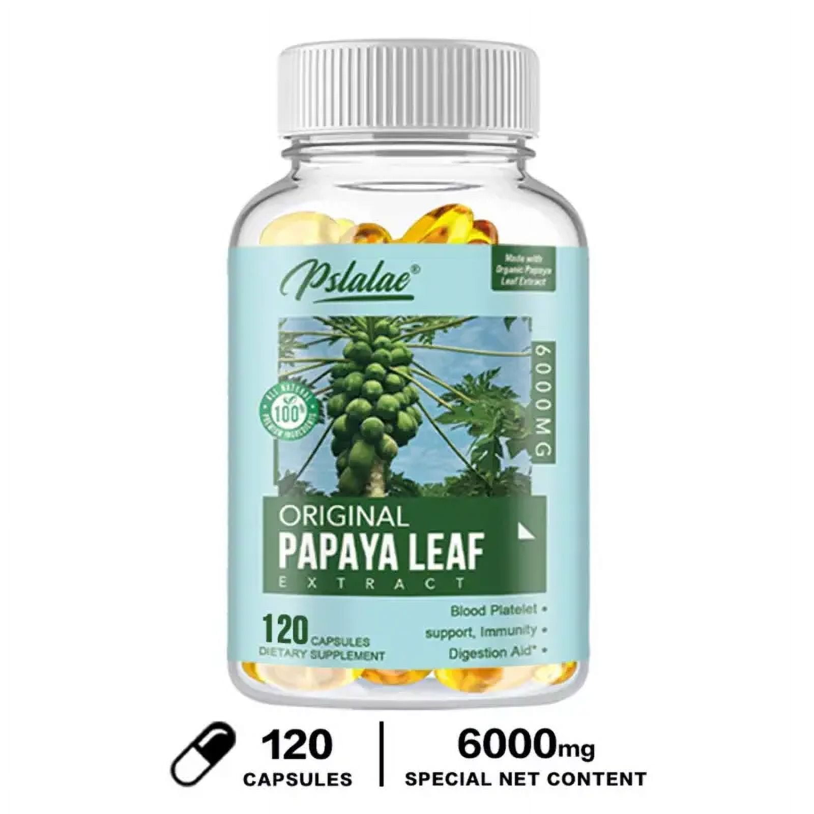 Wellvita Original Papaya Leaf Extract 6000mg - Papain - Platelets ...