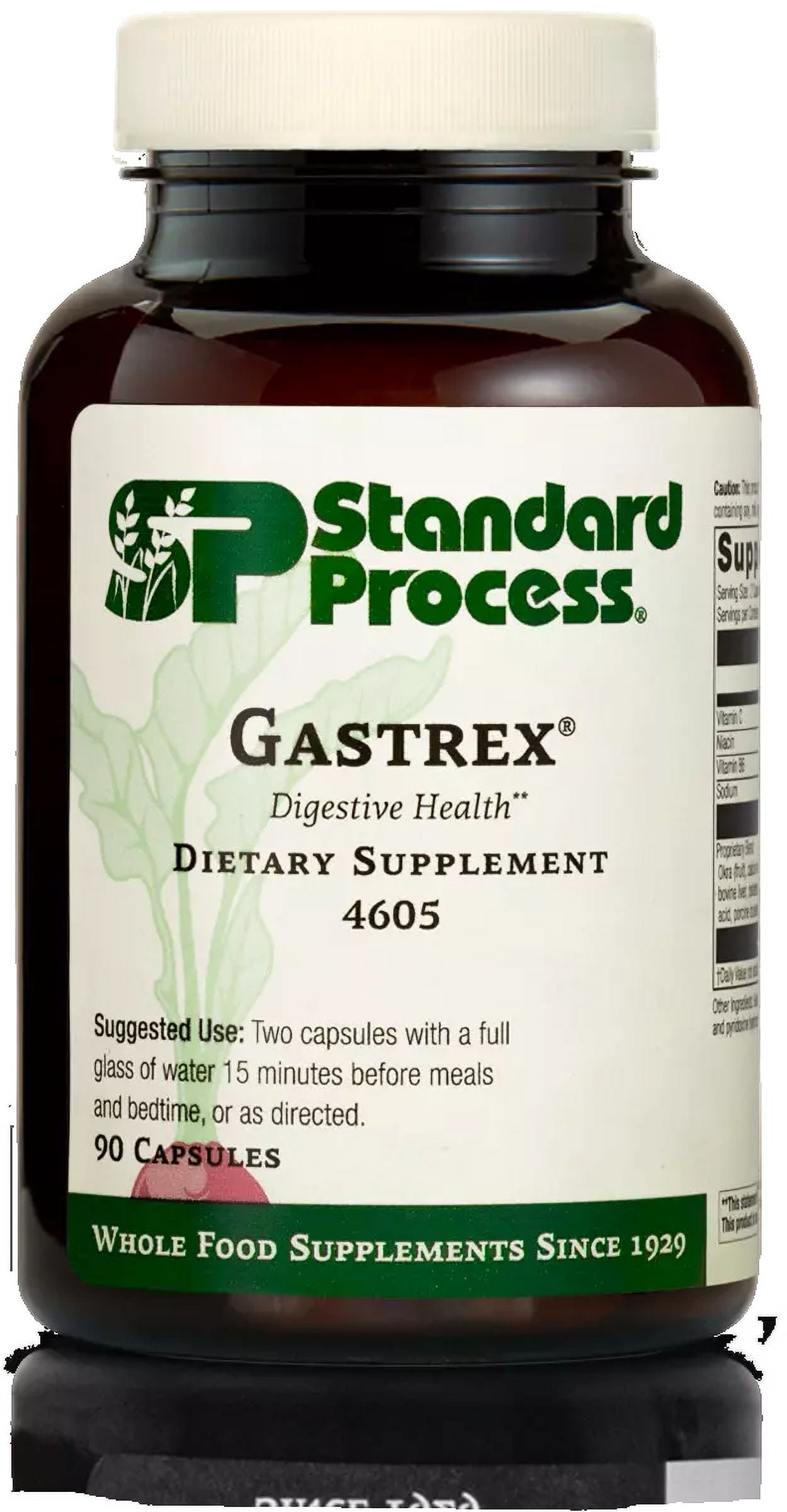 Wellvita Standard Process Gastrex Whole Food Digestion, 90 Capsules ...