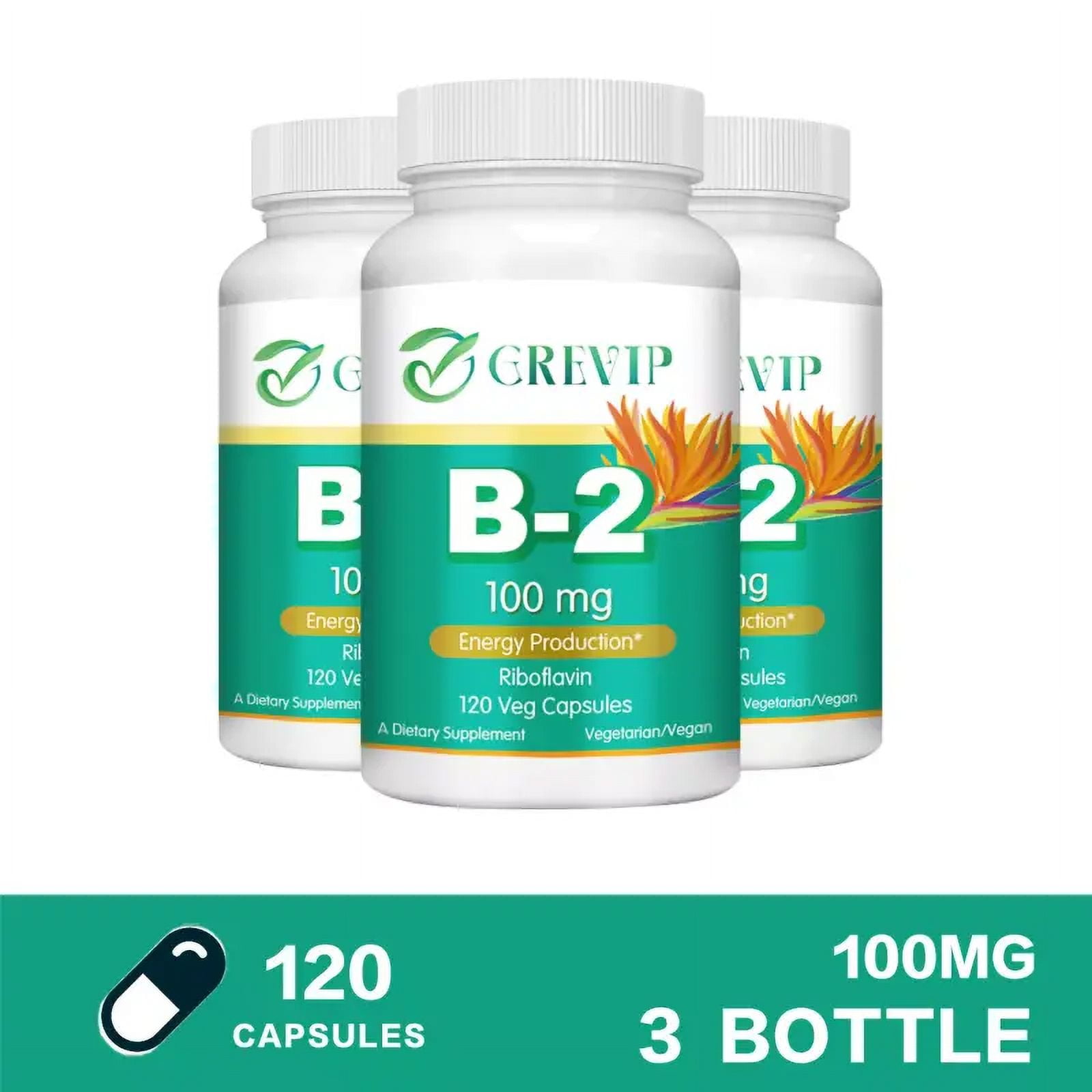 Wellvita Vitamin B2 (Riboflavin) 100mg-Energy Production,Nervous System ...
