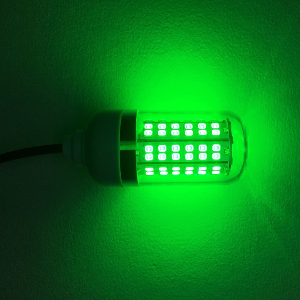 Weloille 12V LED Submersible Fishing Light, Underwater Night Fishing ...