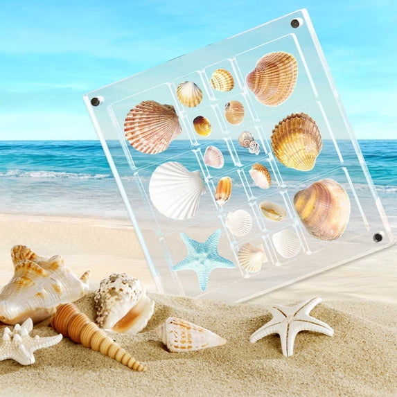 Weloille Acrylic Shell Display Case 1pc, 18 Grid 2024 Upgraded ...