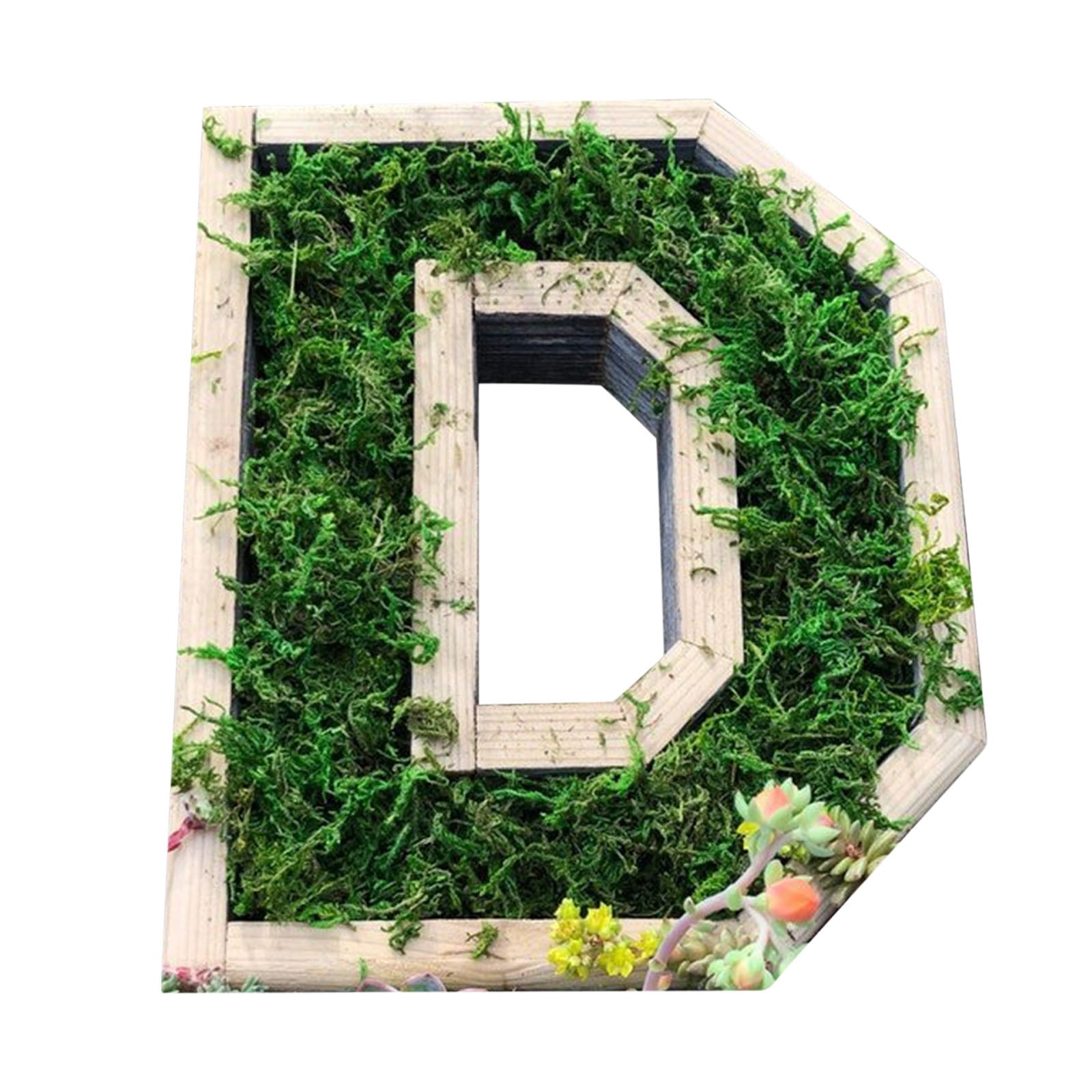 Weloille Alphabet Succulent Flower Bed Green Planting Multi-style ...