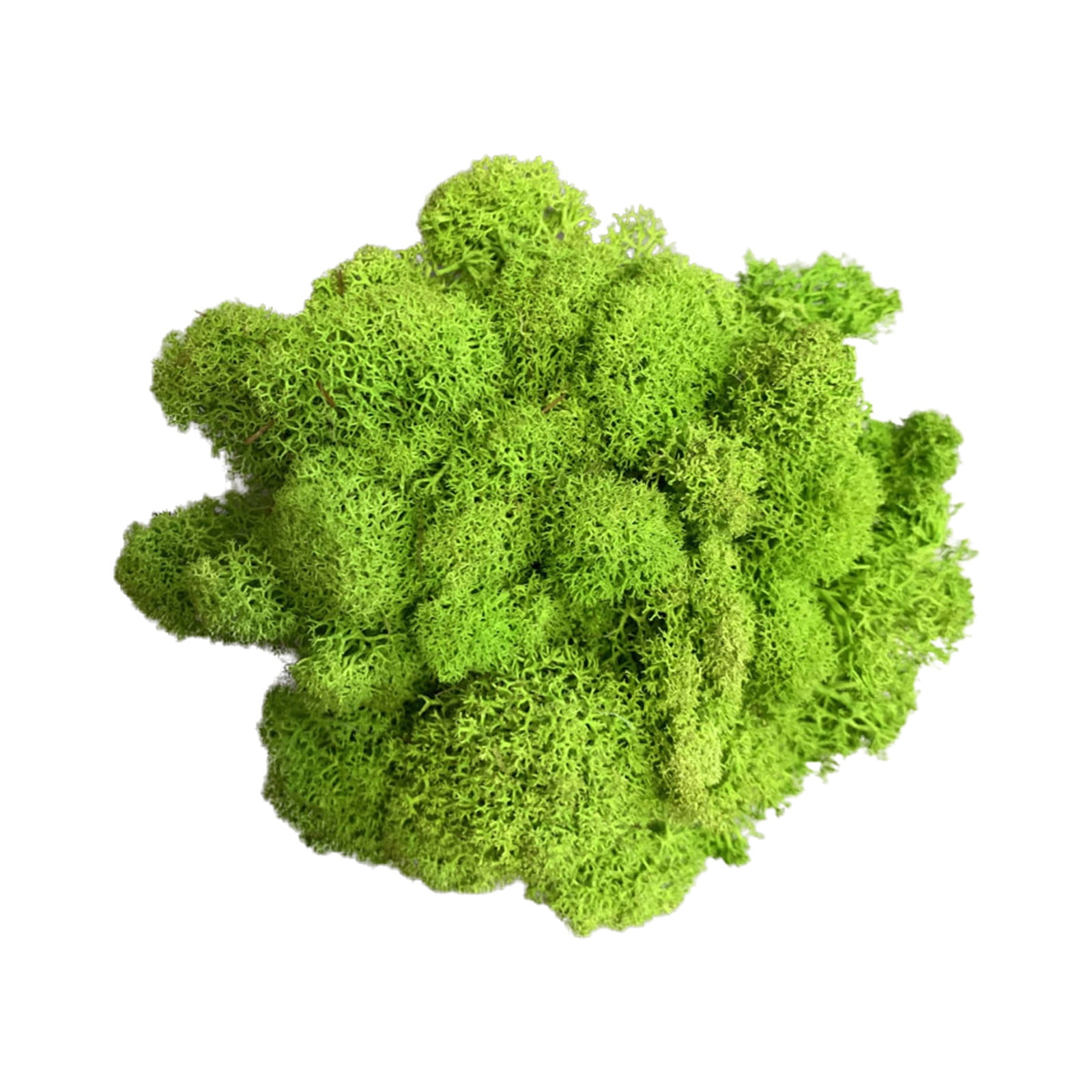 Weloille Artificial Green Plant Immortal Fake Flower Moss Grass For ...
