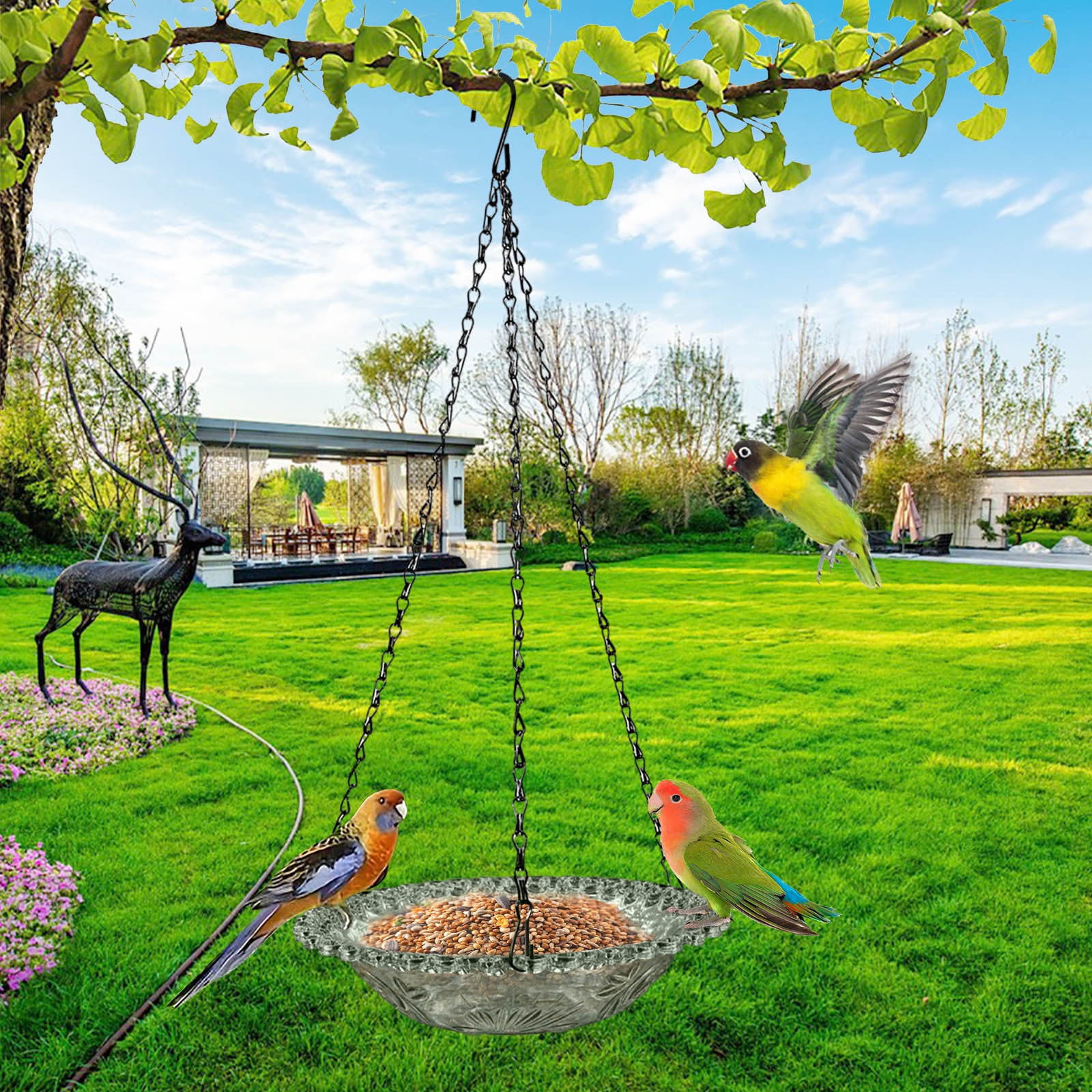 Weloille Outdoor Bird Feeder Clear Acrylic Bird Seeder, Bird Seed ...