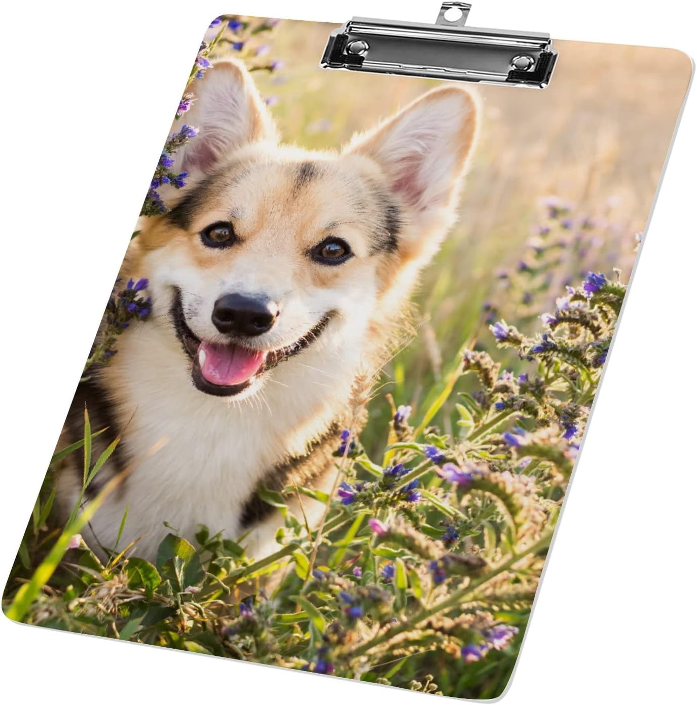 Welsh Corgi Dog Clipboard Nursing Acrylic Clip Board with Low Profile ...