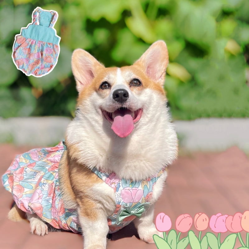 Welsh Corgi Dog Dress Summer Pet Clothes Poodle Corgi Border Collie ...