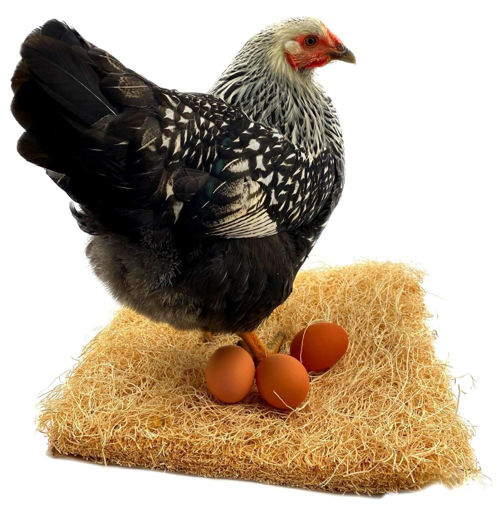 Werqueid 12 Pack Chicken Nesting Box Pad Made in USA! 13 x 13 Liner for ...