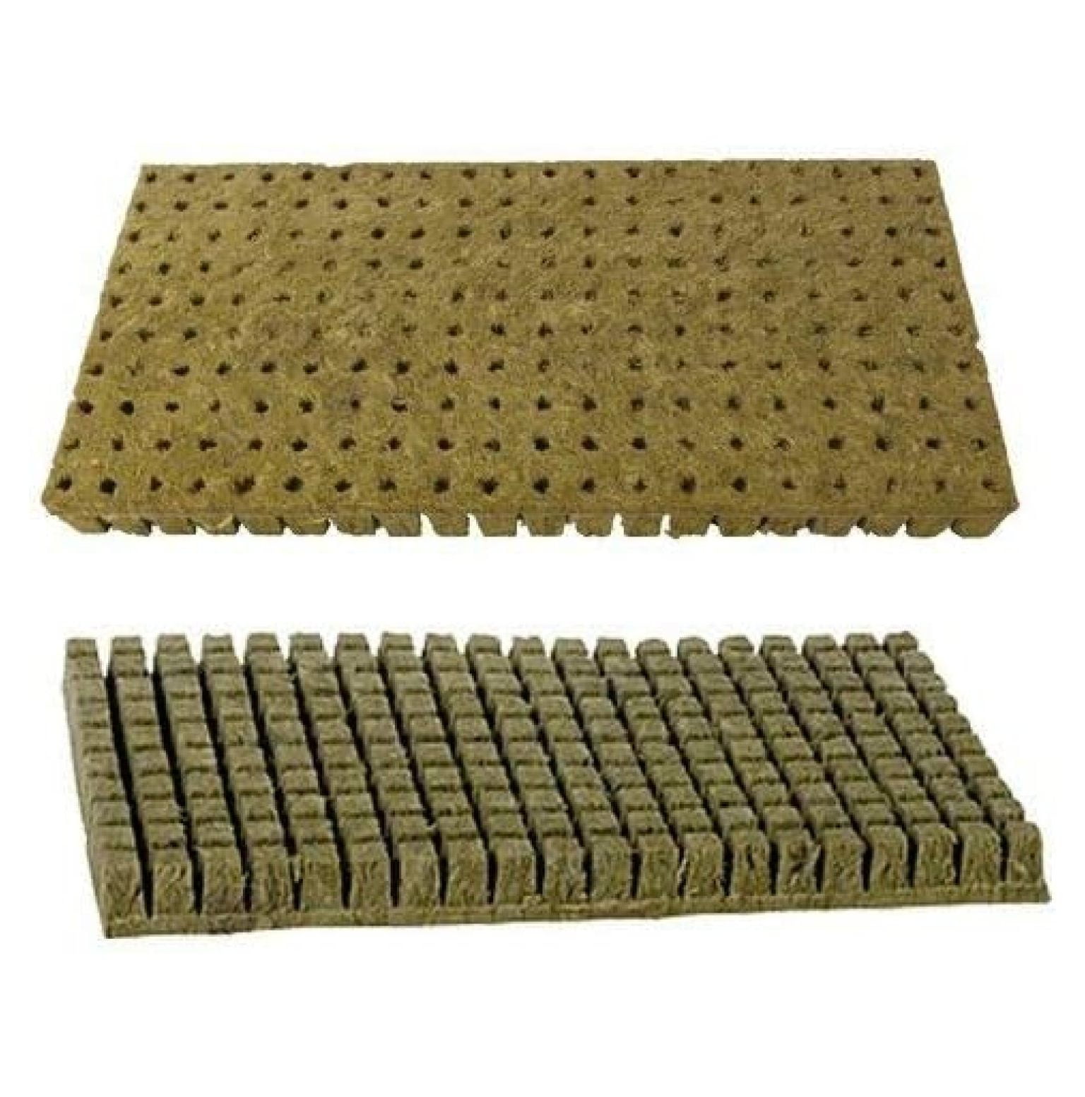 Werqueid A-OK 1x1 Sheet of 100 Rockwool / Stonewool Starter Cubes for ...