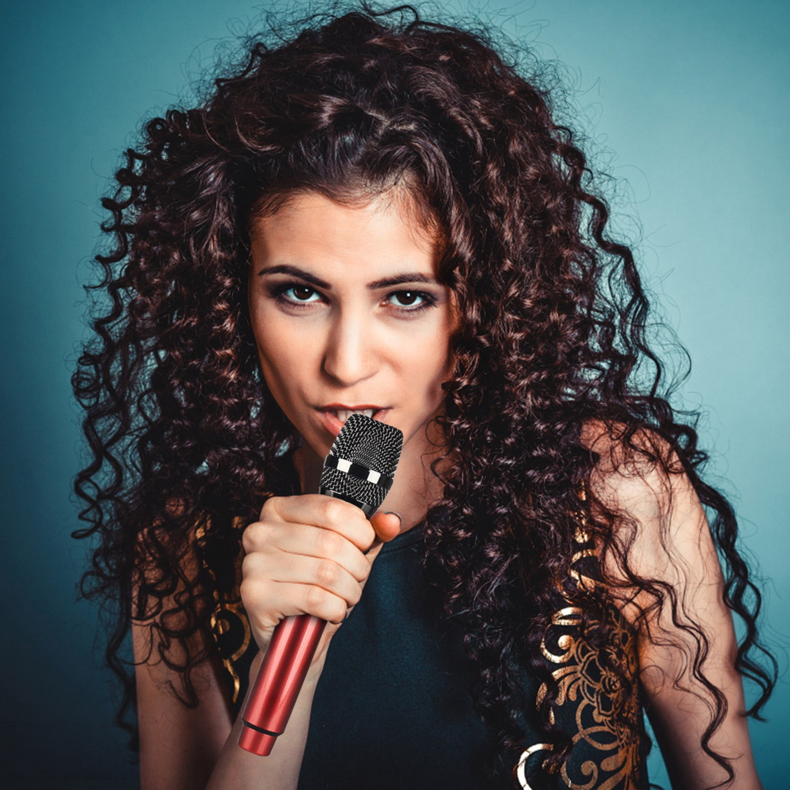 Werulen Recording Microphone Under 2$ Wireless Microphone Home Karaoke ...