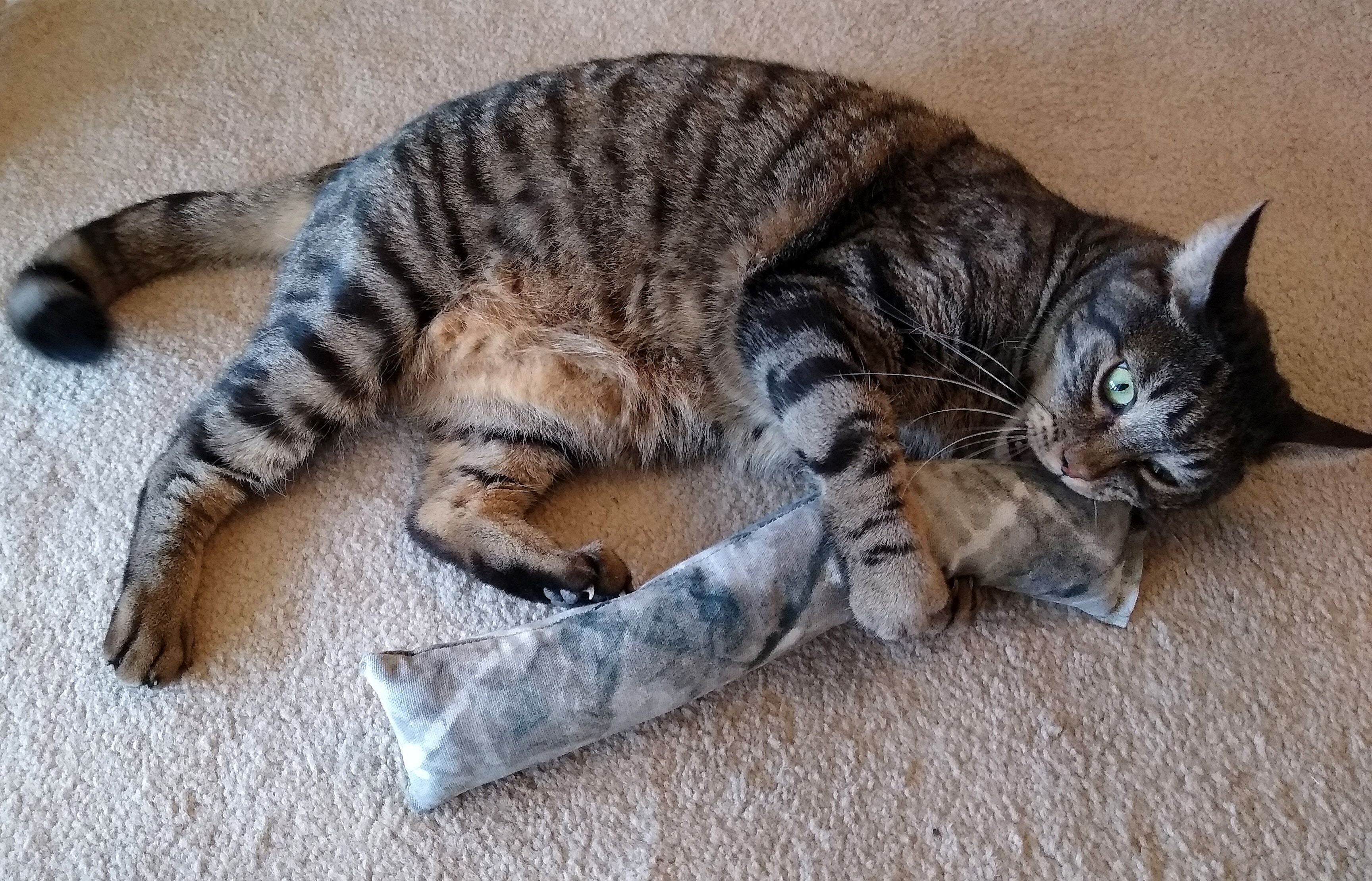 West Coast Pet Products 15" Catnip Cat Kicker Toys/Kitty Kick Sticks/Cat-Nip Kick Sticks (Camo ...