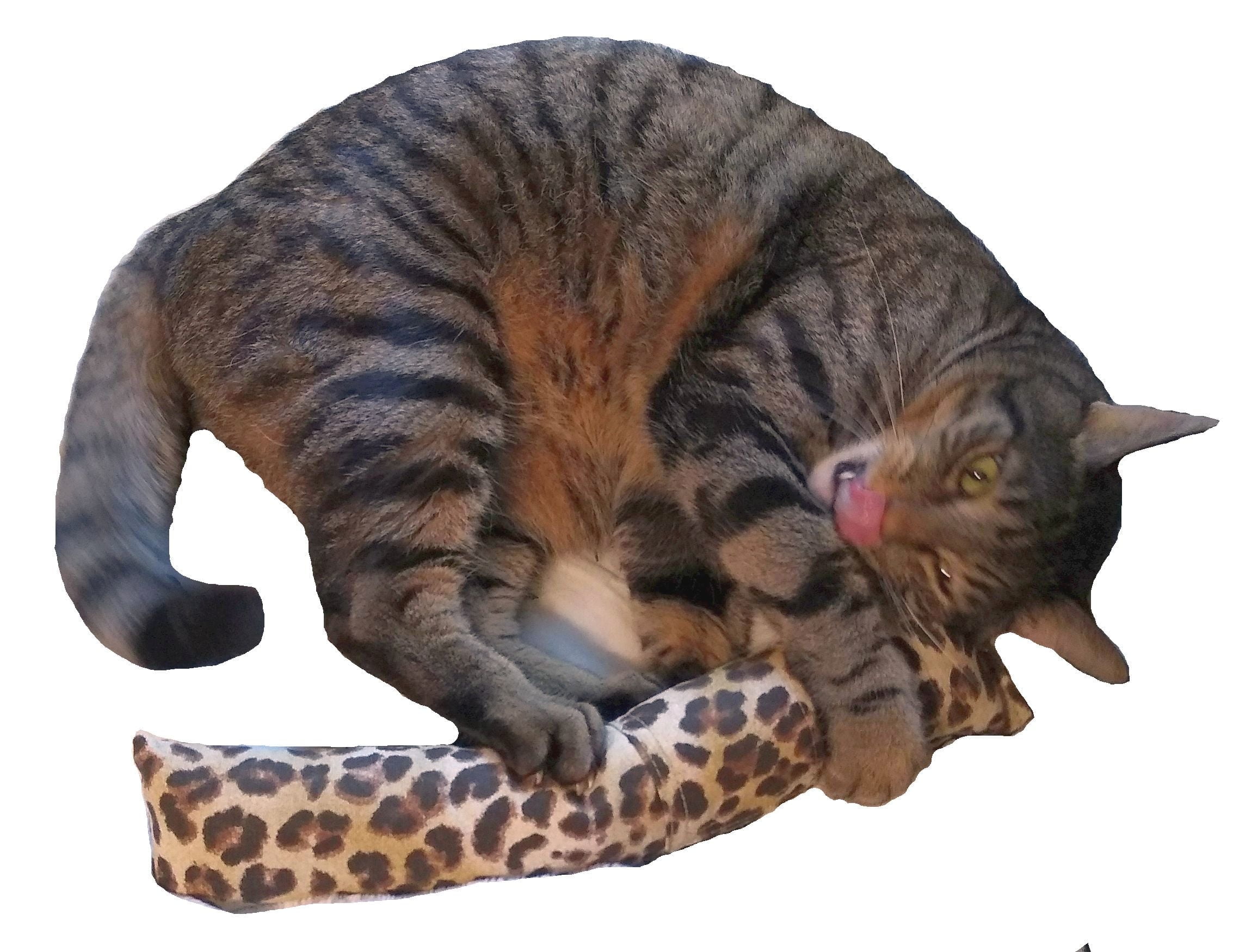 West Coast Pet Products 15" Refillable Catnip Cat Kickers Filled with 1 ...