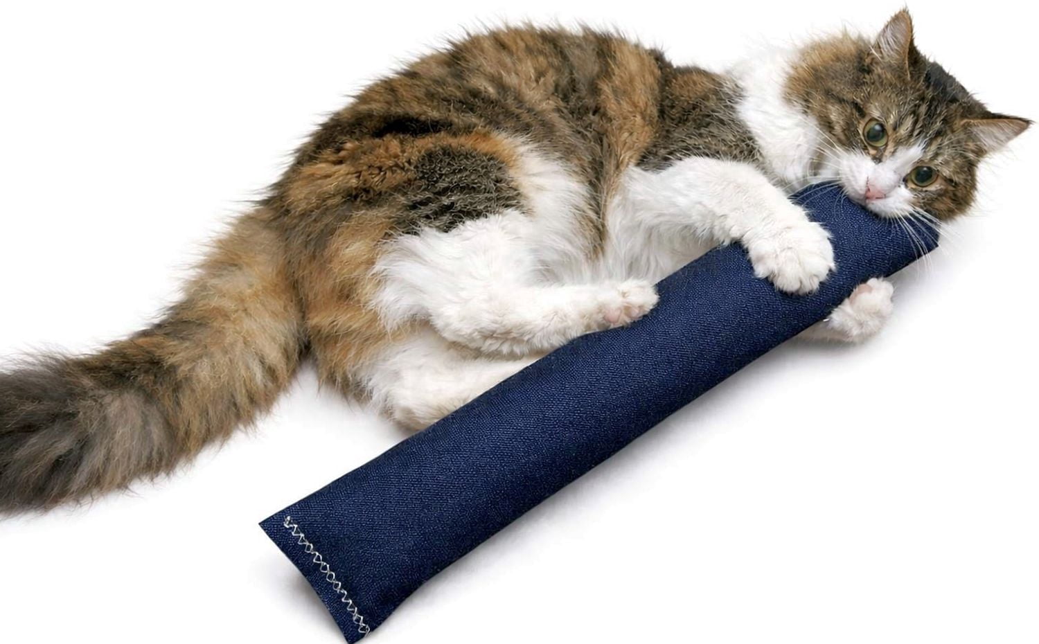 West Coast Pet Products Catnip Kicker Toy, Cat Kicker Toy for Cats, 18 ...