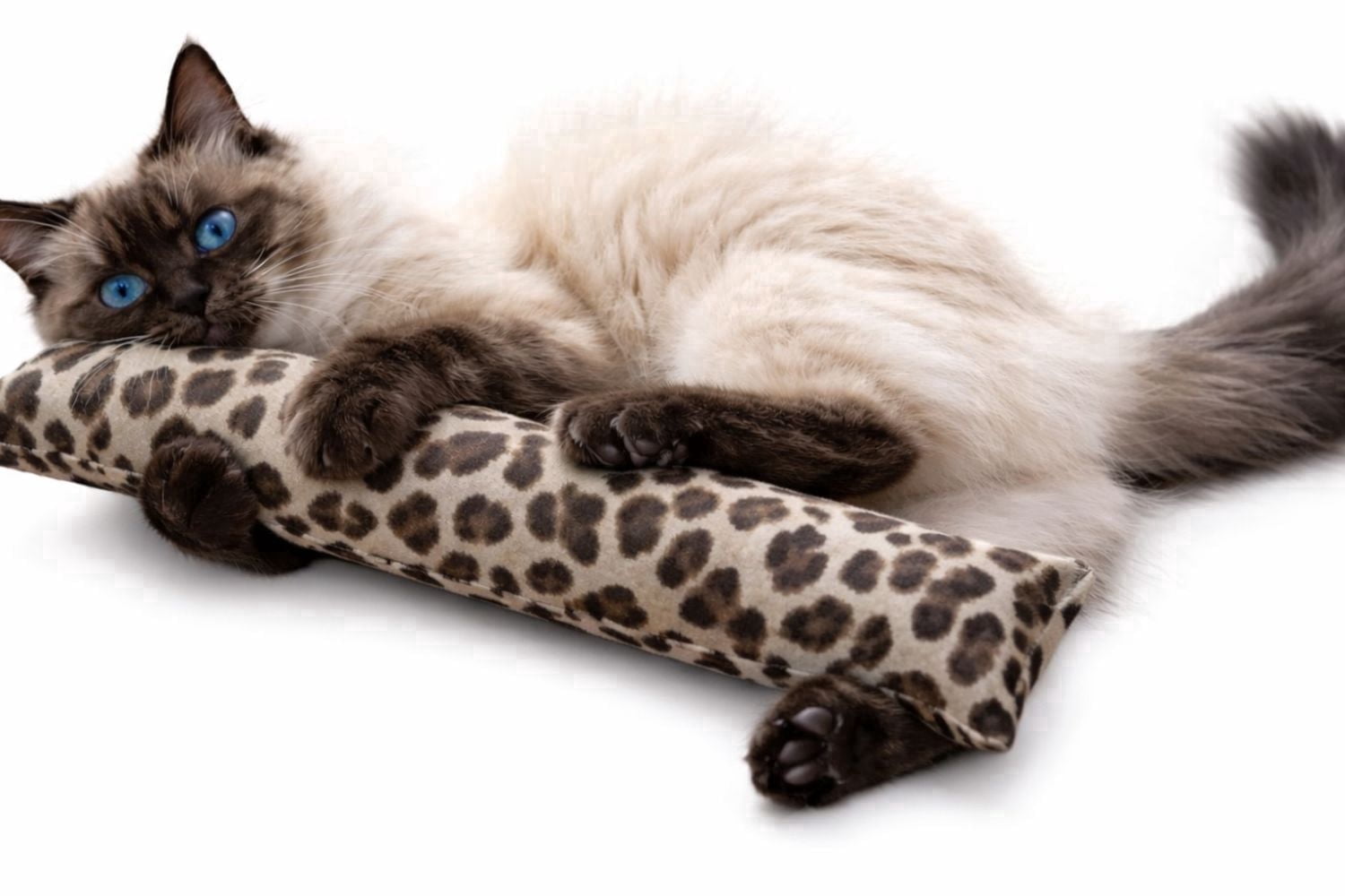 West Coast Pet Products Catnip Kicker Toy, Cat Kicker Toy for Cats, 18 ...