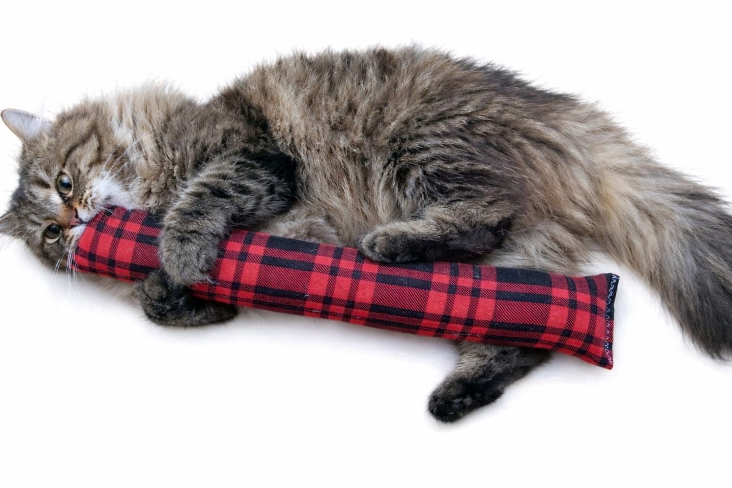 West Coast Pet Products Catnip Kicker Toy, Cat Kicker Toy for Cats, 18 ...
