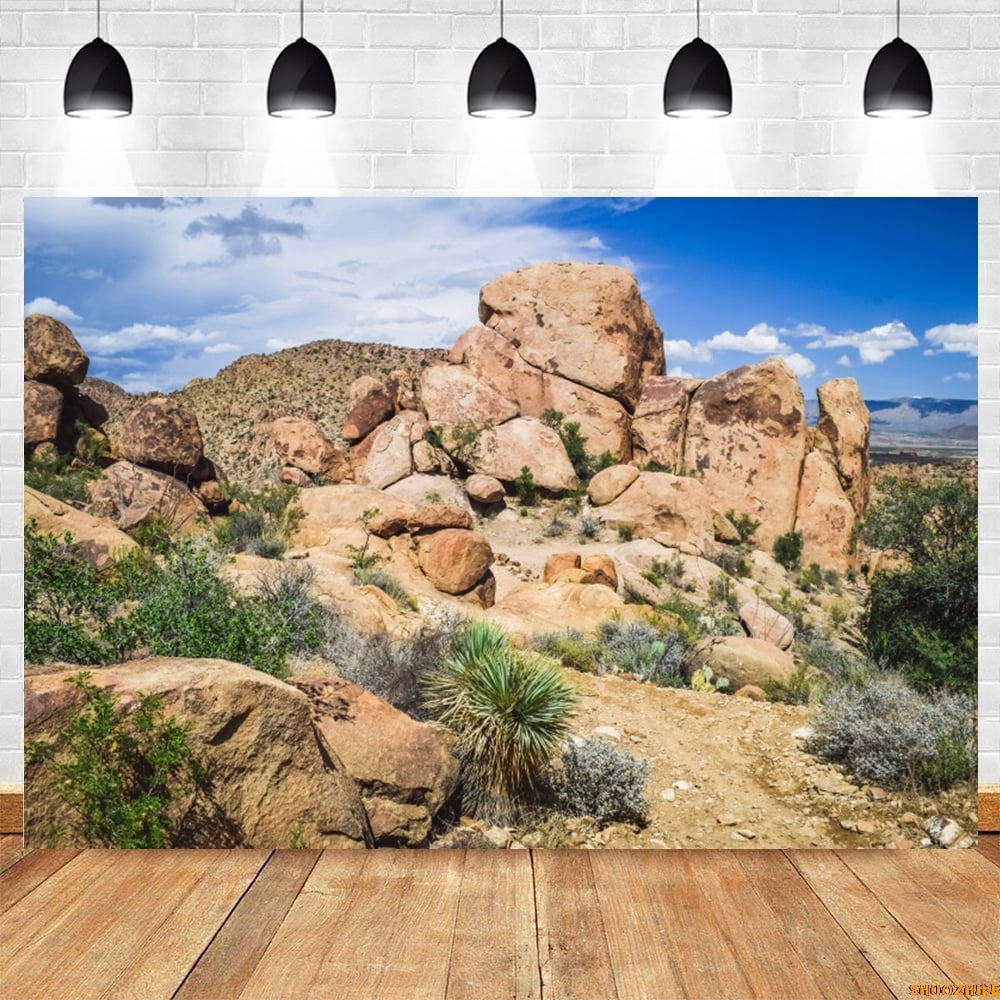 West Desert Scery Photography Backdrop Sand Cactus Dunes Cowboy ...