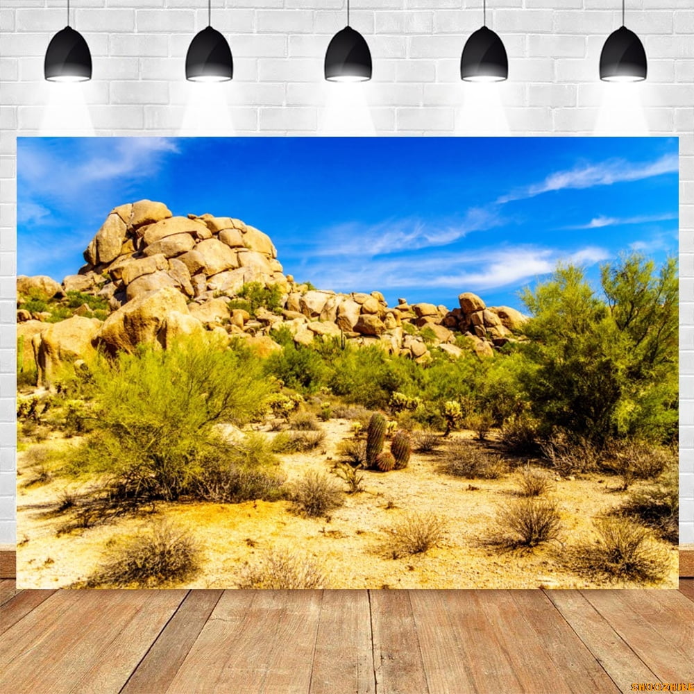 West Desert Scery Photography Backdrop Sand Cactus Dunes Cowboy ...