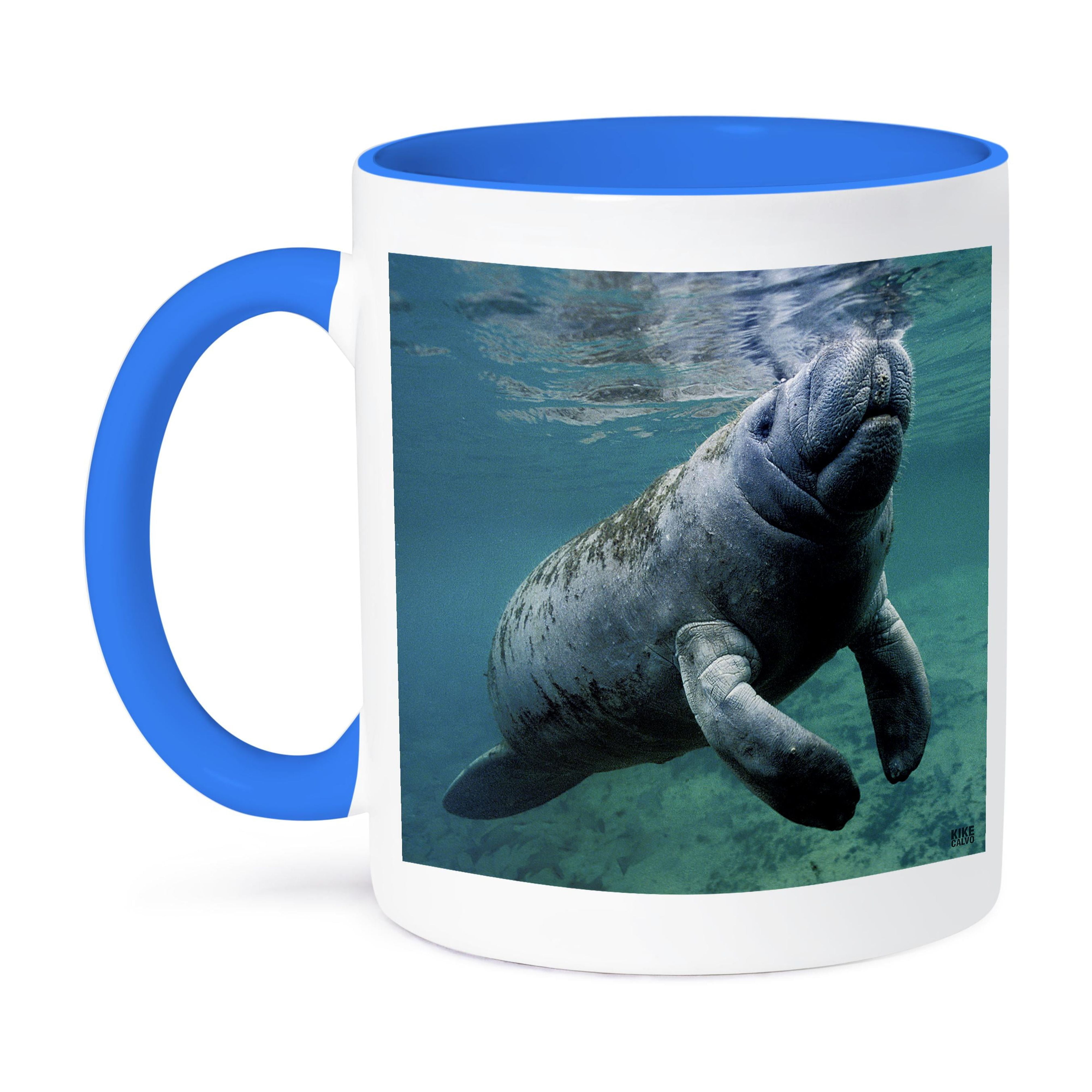 3dRose, West Indian Manatee Trichechus manatus Florida USA, 15oz Two ...