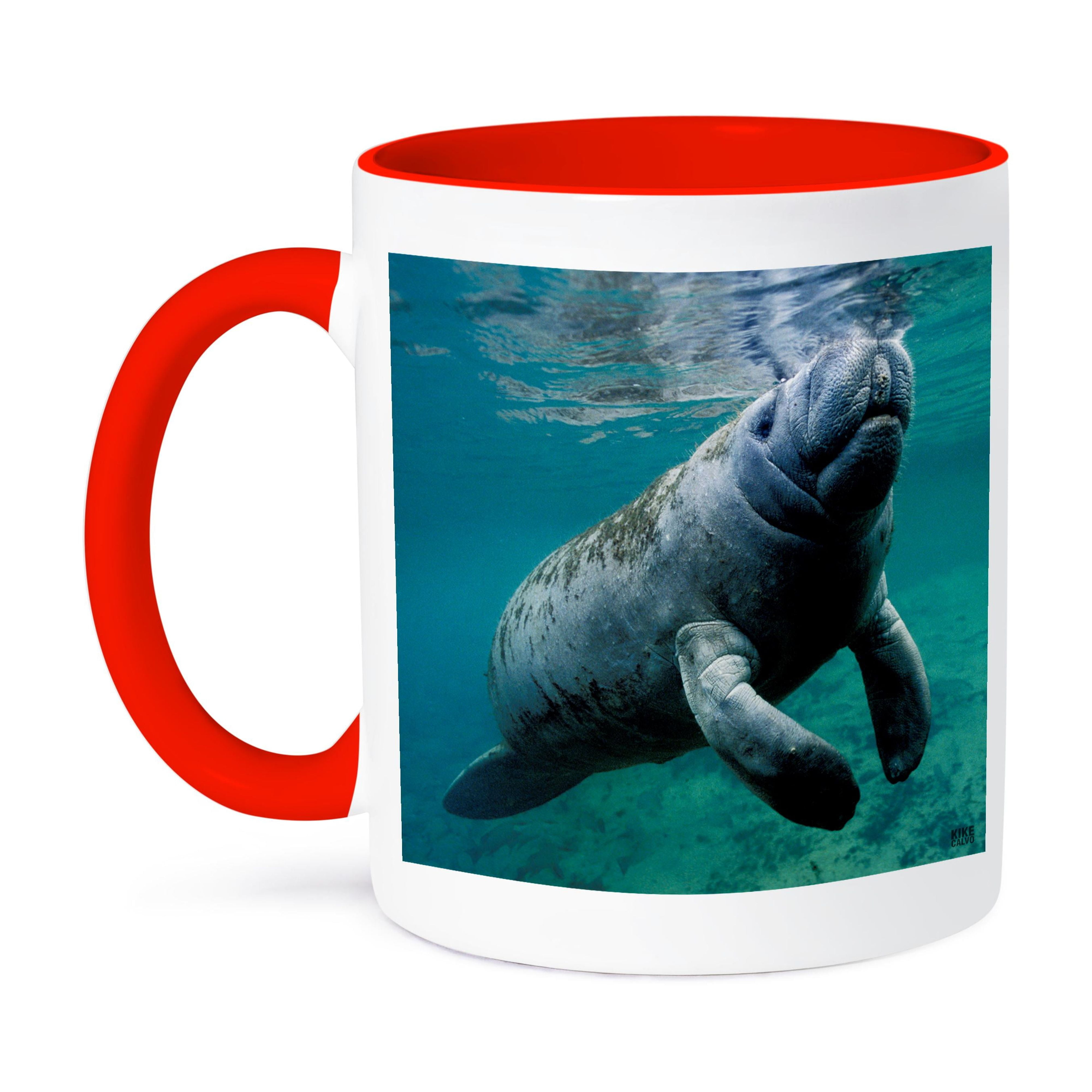3dRose, West Indian Manatee Trichechus manatus in Florida USA, 15oz Two ...