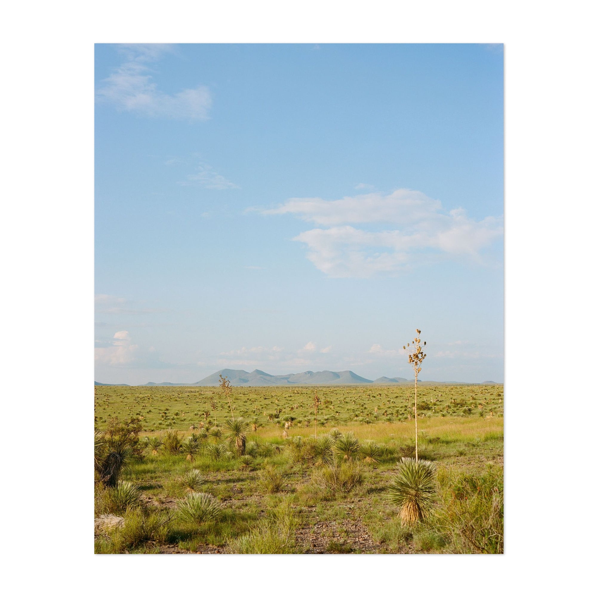 West Texas Sunset III - Marfa Texas Photography Desert Landscape Nature ...