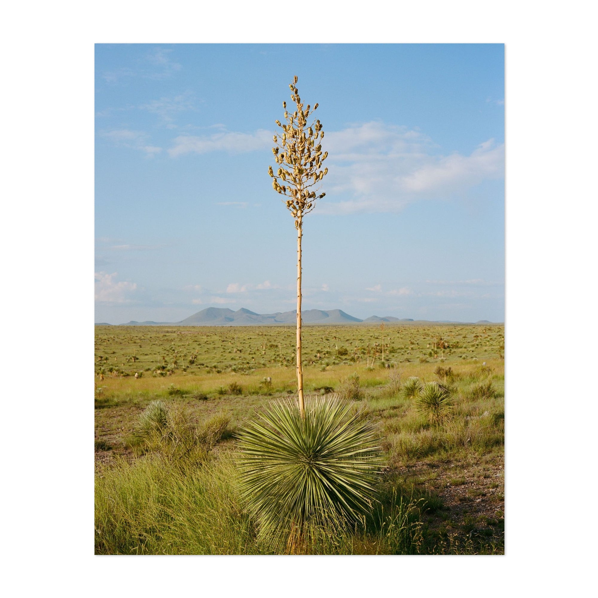 West Texas Sunset - Marfa Texas Photography Desert Nature Landscape ...