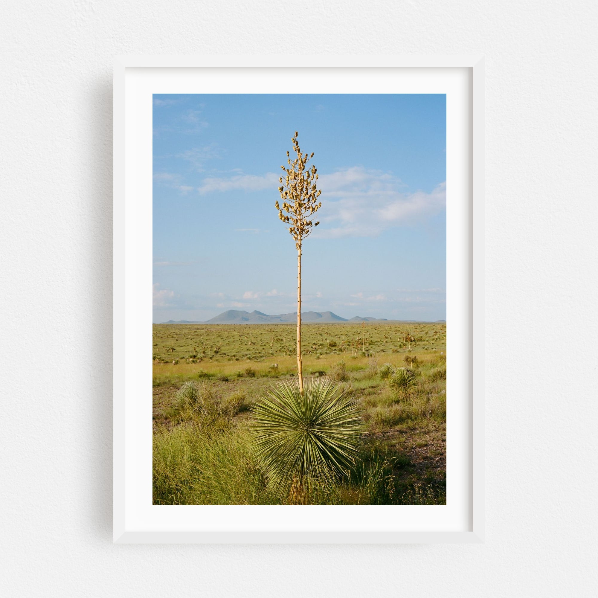 West Texas Sunset - Marfa Texas Photography Desert Nature Landscape ...