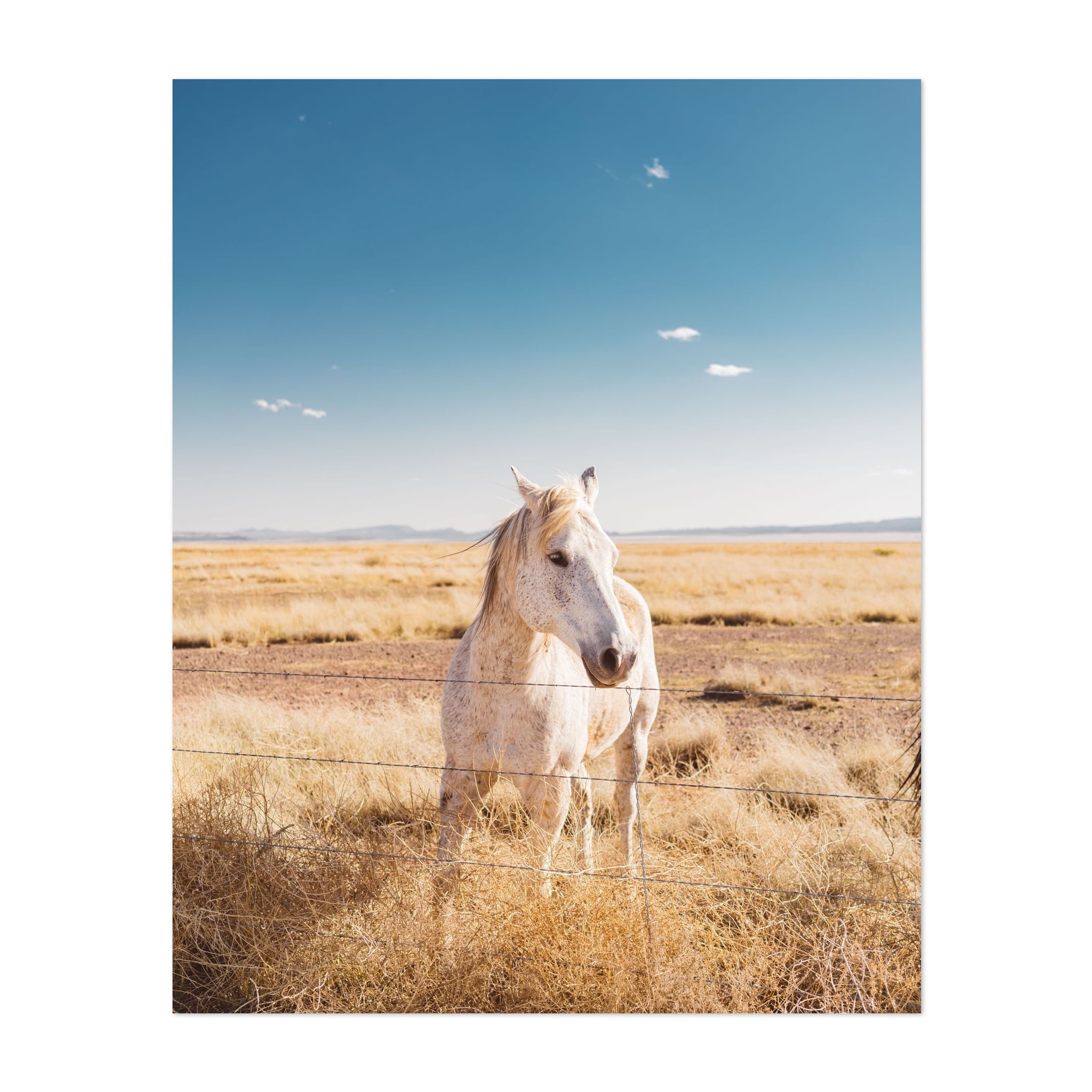 West Texas Wild IV - Marfa Texas Photography Horse Desert Rural ...