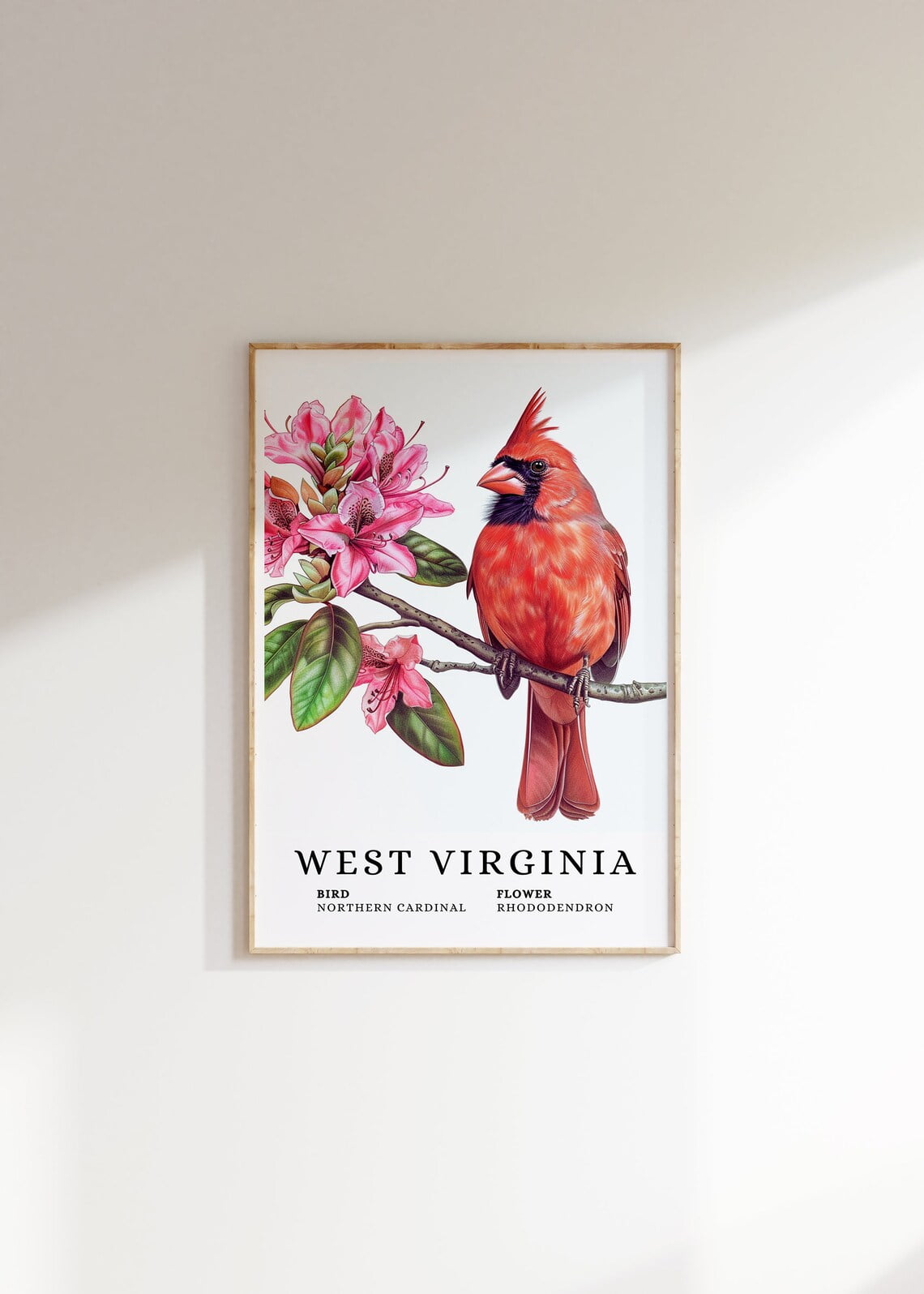 West Virginia Art Poster: Cardinal Bird & Rhododendron Flower, Unframed ...