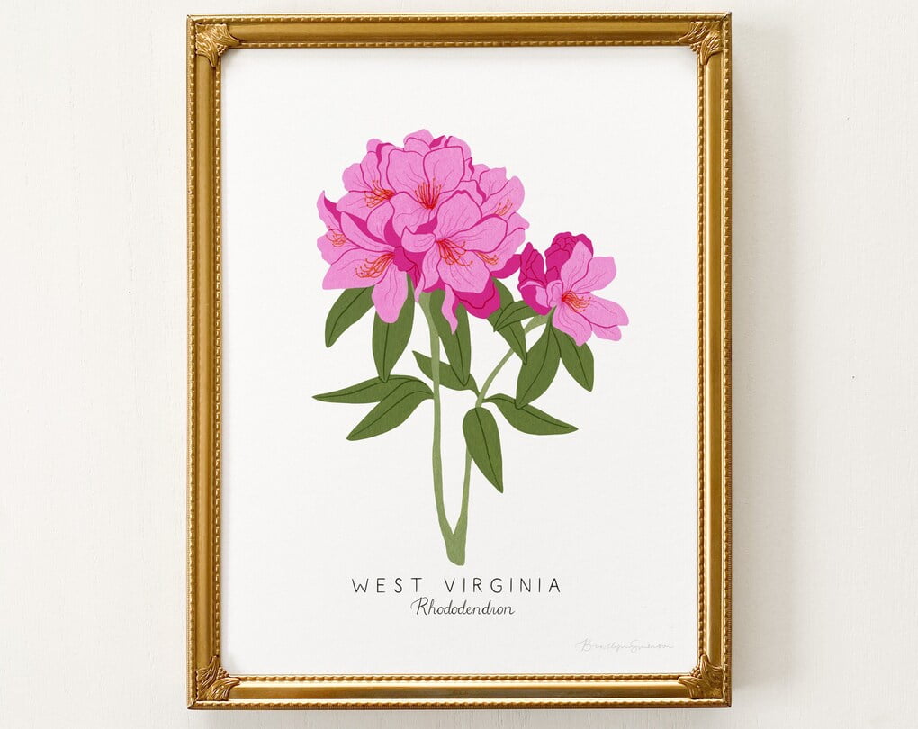 West Virginia State Flower Print West Virginia State Flower ...