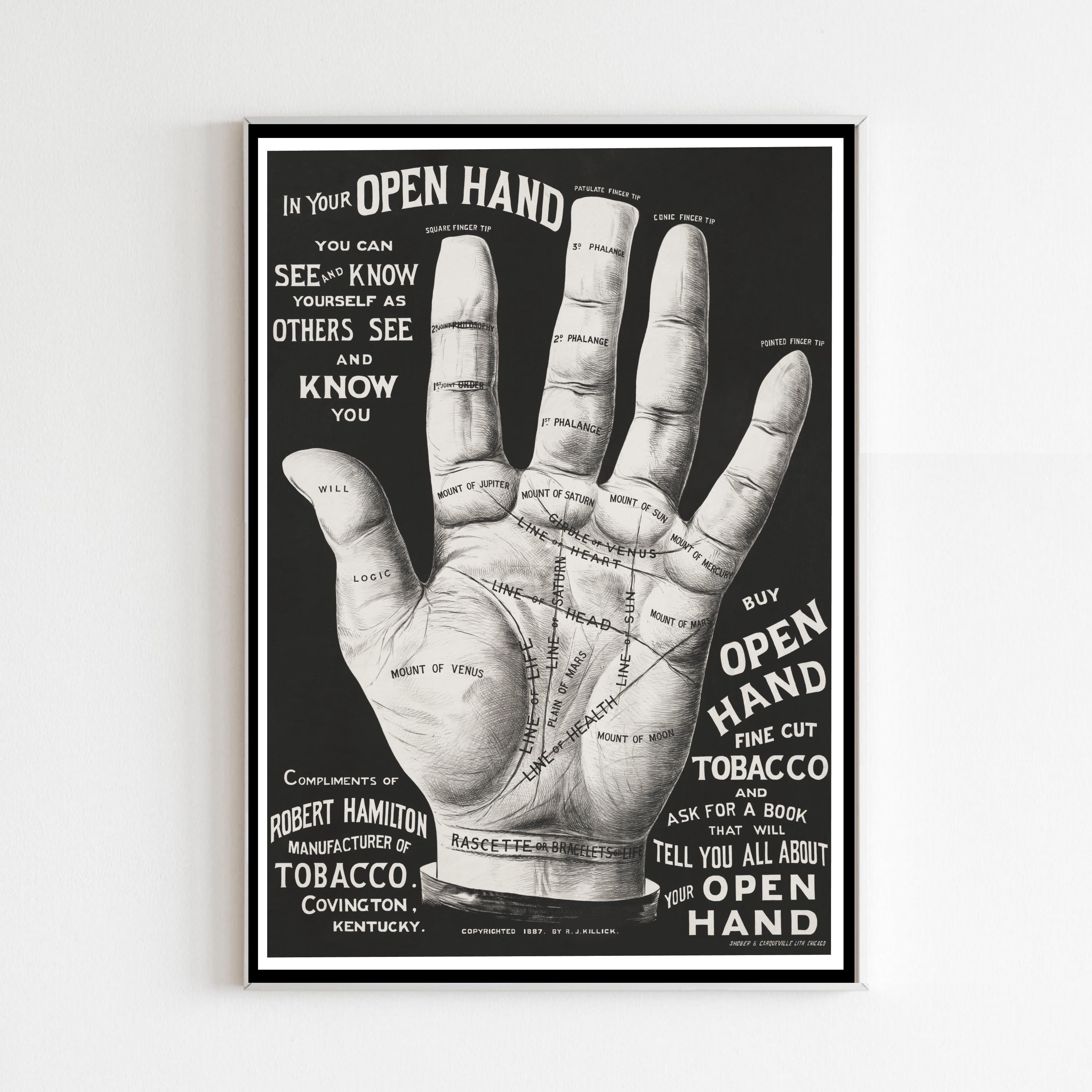 WestConfe Open Hand Poster, Palm Reading Chart Print, Fine Cut Tobacco ...