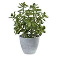 Westcharm 16'' Tall Faux Jade Plant, Crassula Ovata Money Tree in ...