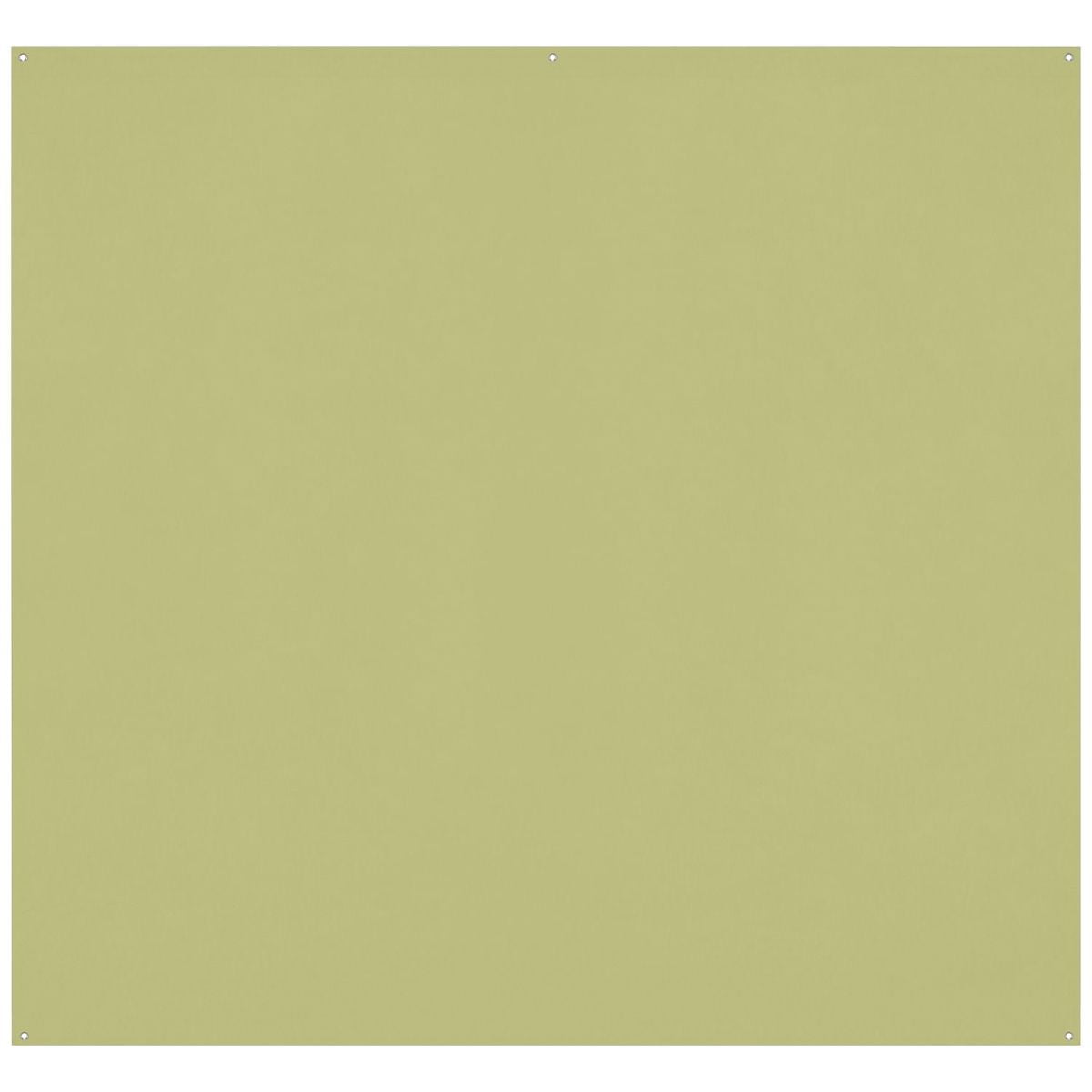 Westcott 8x8' X-Drop Pro Wrinkle-Resistant Backdrop, Light Moss Green ...