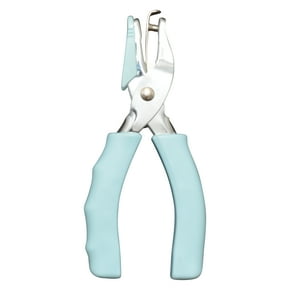 Staples, Clips & Office Essentials