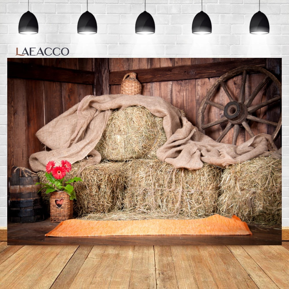 Western Cowboy Backdrop Vintage Wooden House Granary Barn Door Kids ...