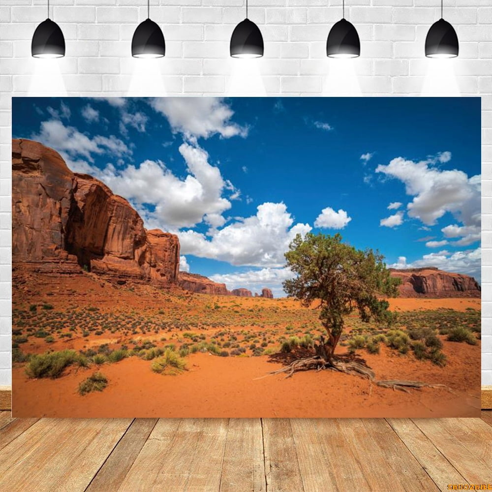 Western Desert Landscape Backdrop Cactus Plant Sand Blue Sky Birthday ...