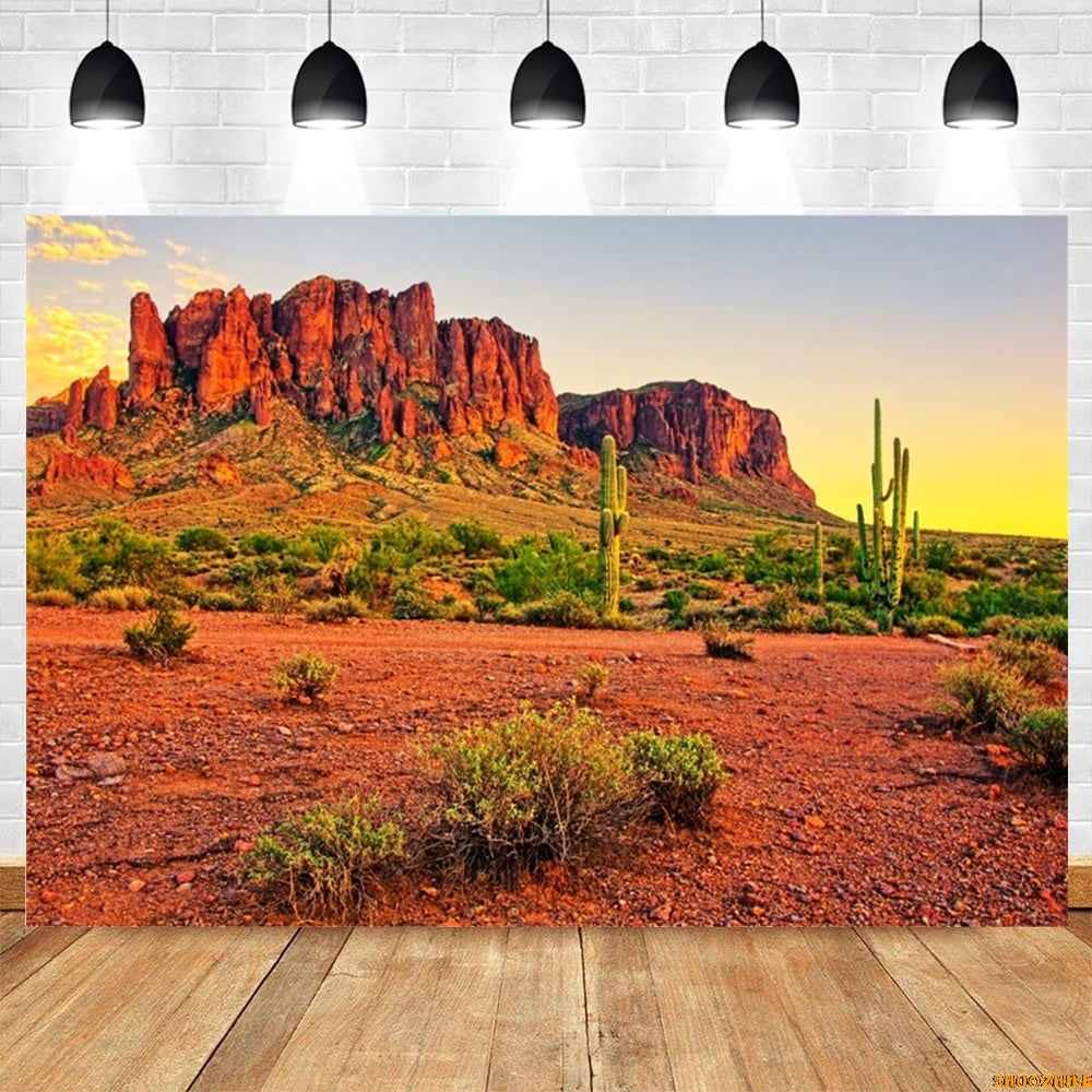 Western Desert Landscape Backdrop Cactus Plant Sand Blue Sky Birthday ...