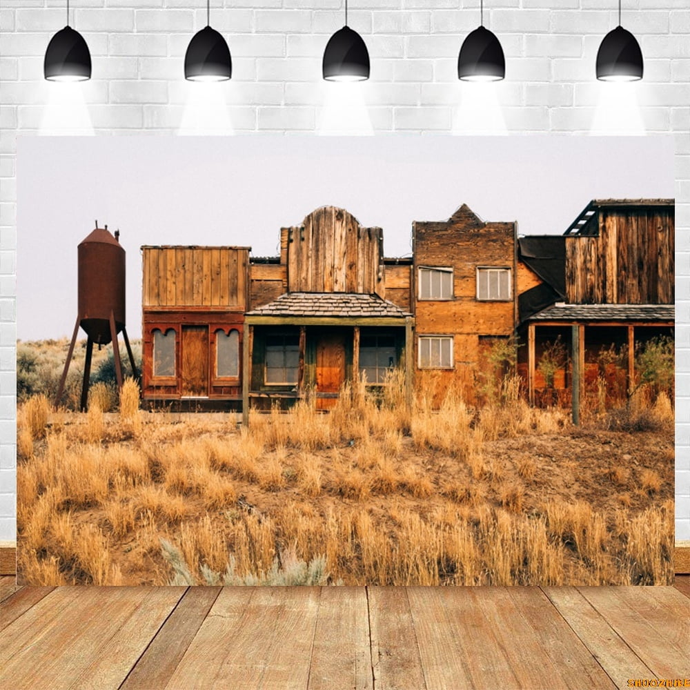 Western Desert Landscape Backdrop Cactus Plant Sand Blue Sky Birthday ...