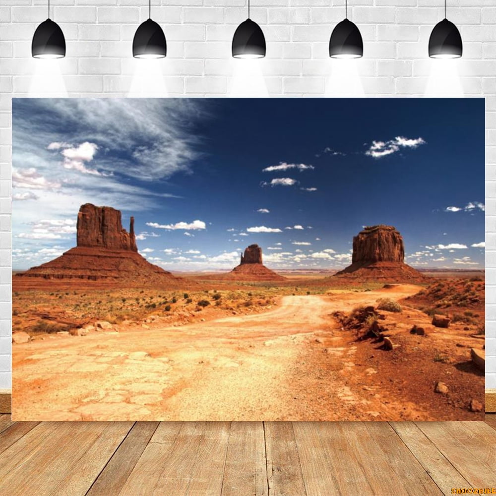 Western Desert Landscape Backdrop Cactus Plant Sand Blue Sky Birthday ...