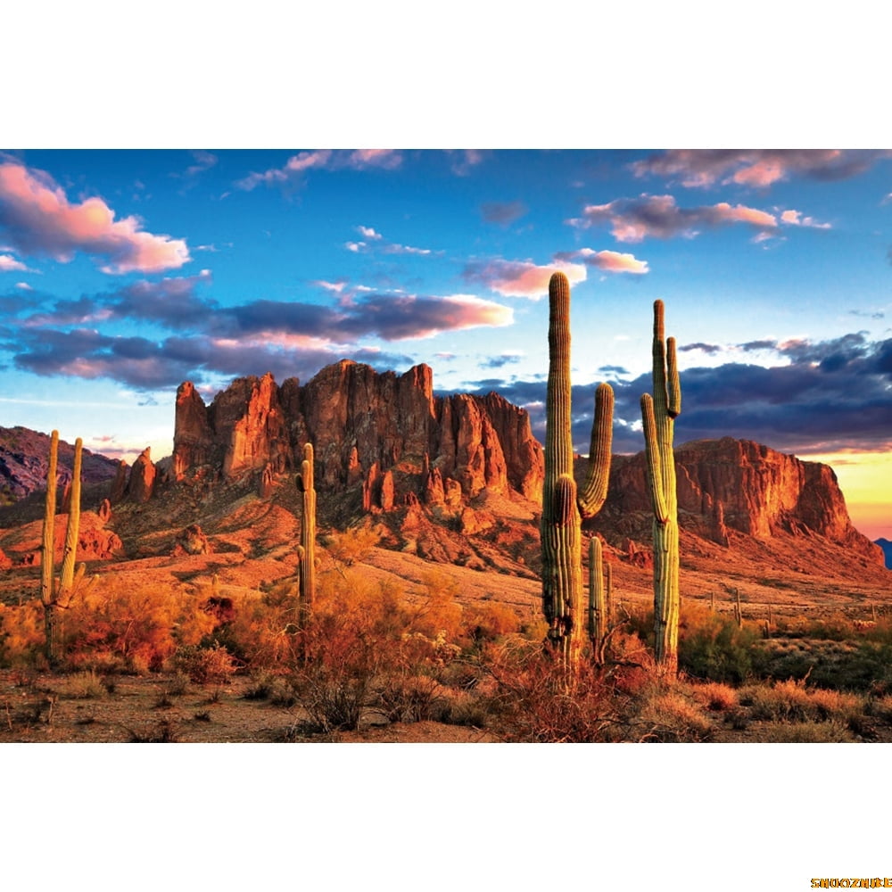Western Desert Sce Photography Backdrop Dusk Desert Cactus Mountain Shrub Hillside Natural ...