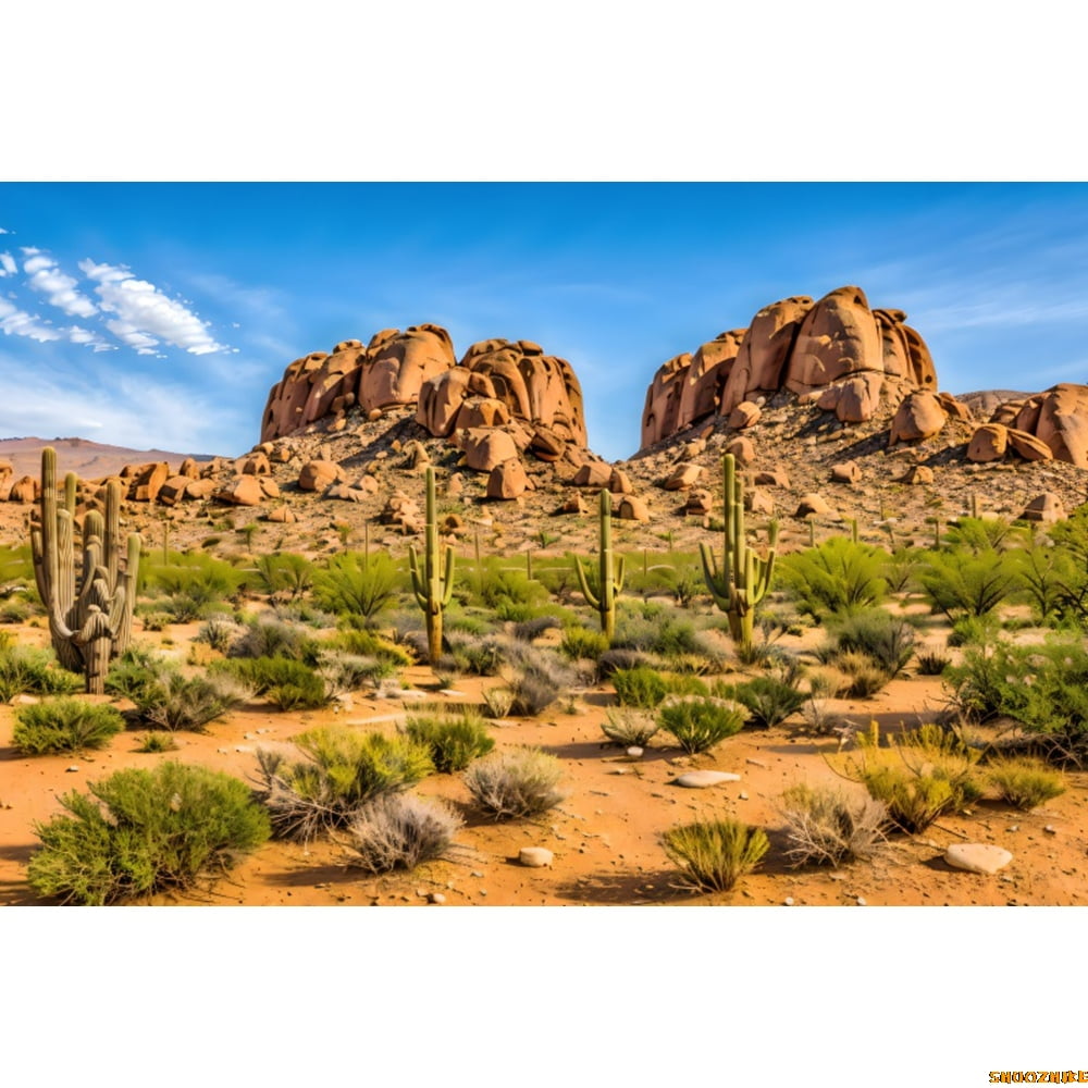 Western Desert Sce Photography Backdrop Dusk Desert Cactus Mountain ...