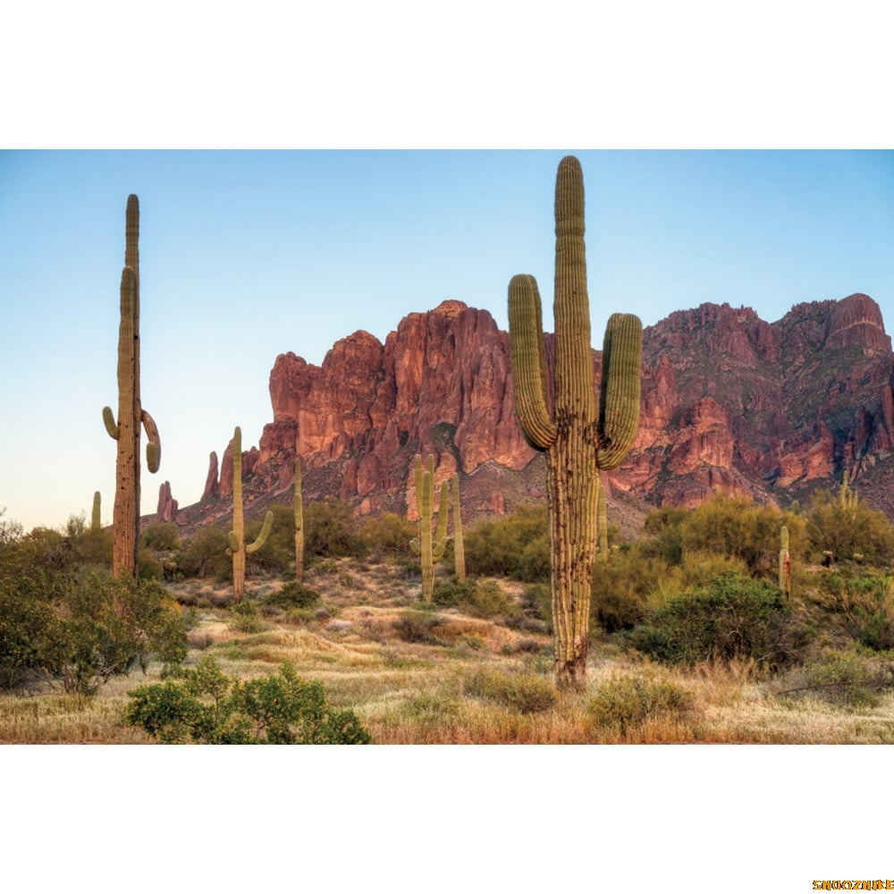 Western Desert Sce Photography Backdrop Dusk Desert Cactus Mountain ...
