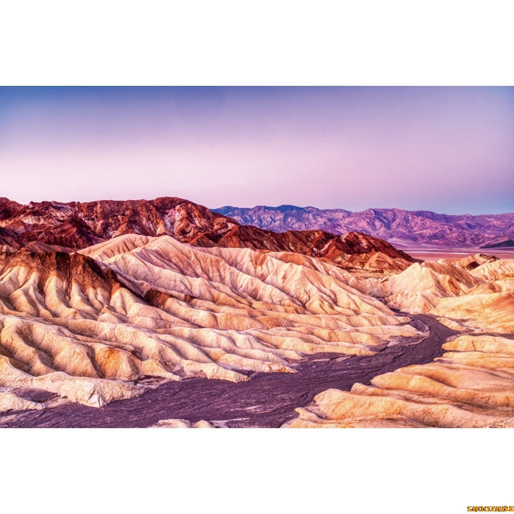 Western Desert Sce Photography Backdrop Dusk Desert Cactus Mountain ...