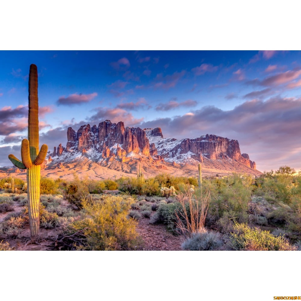 Western Desert Sce Photography Backdrop Dusk Desert Cactus Mountain ...