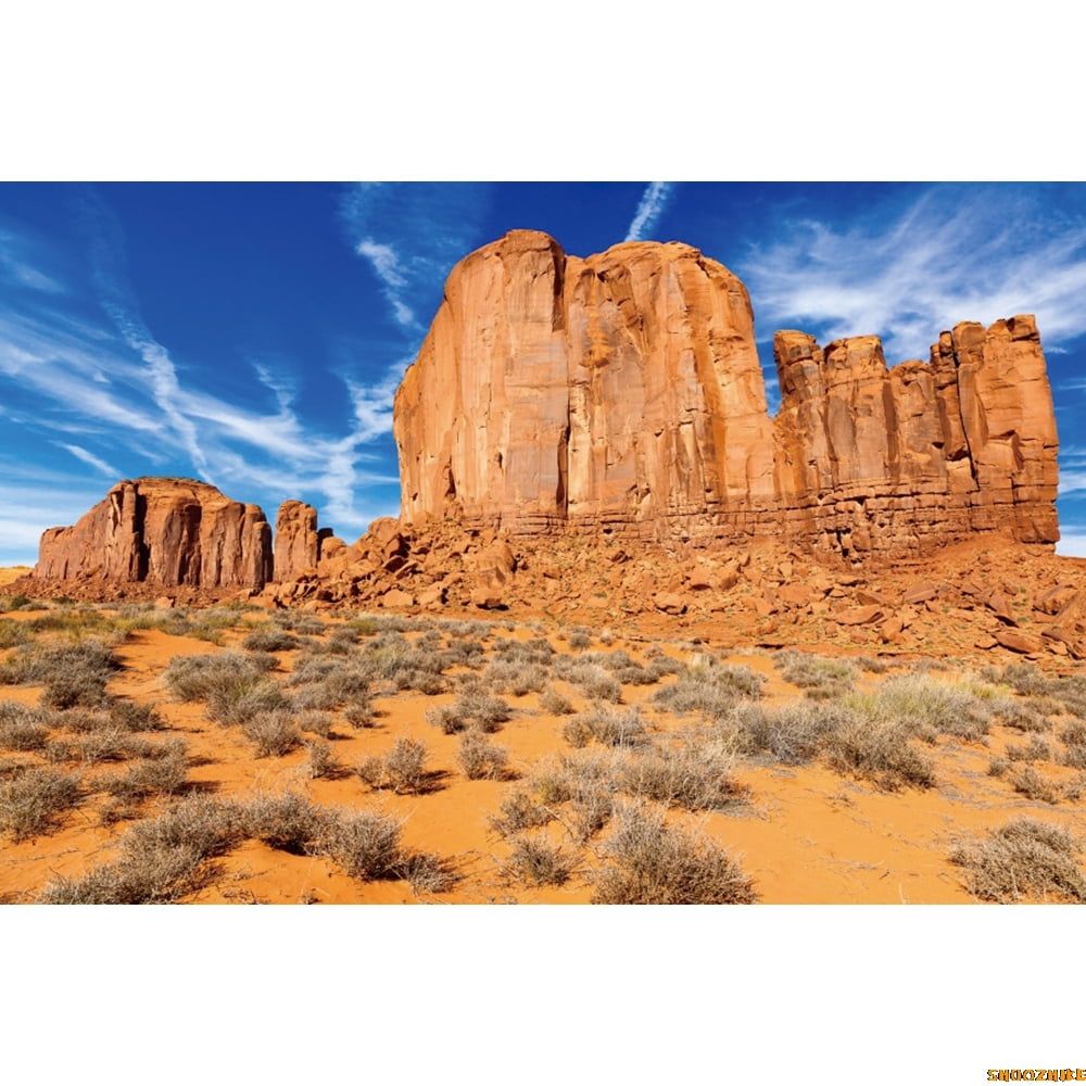 Western Desert Sce Photography Backdrop Dusk Desert Cactus Mountain ...