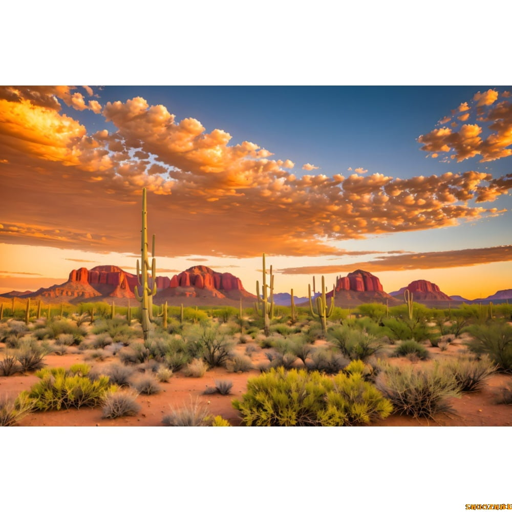 Western Desert Sce Photography Backdrop Dusk Desert Cactus Mountain ...
