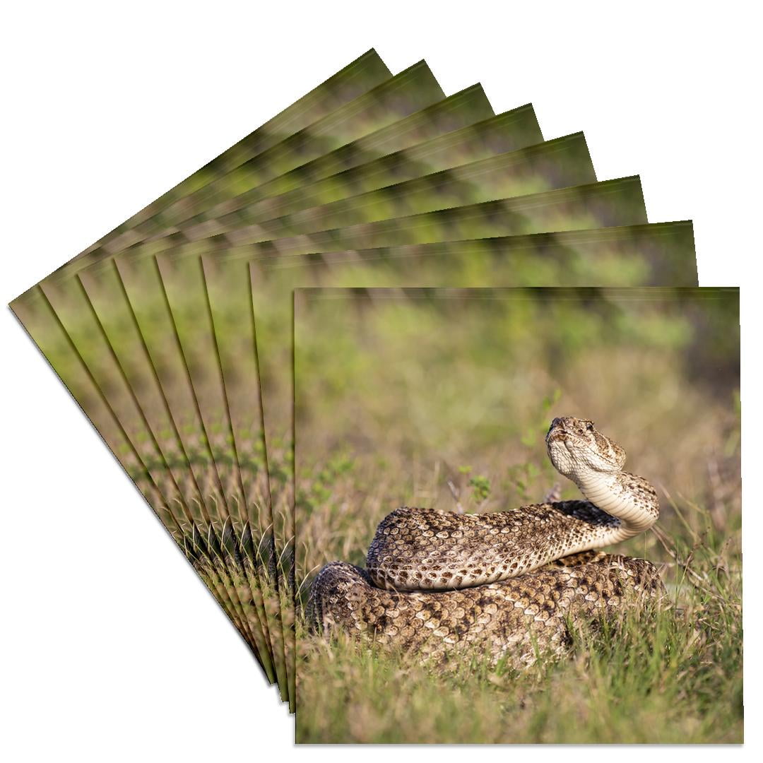 3drose, Western Diamondback Rattlesnake, Crotalus Atrox Coiled., Set of ...
