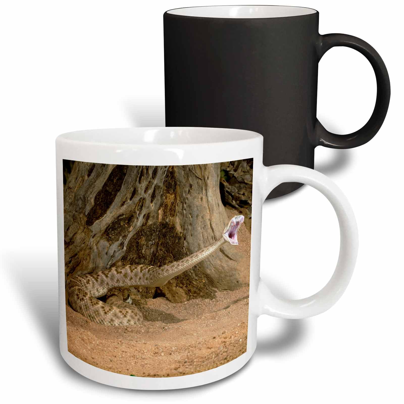 3drose, Western Diamondback Rattlesnake Striking - Na02 Dno0768 - David ...
