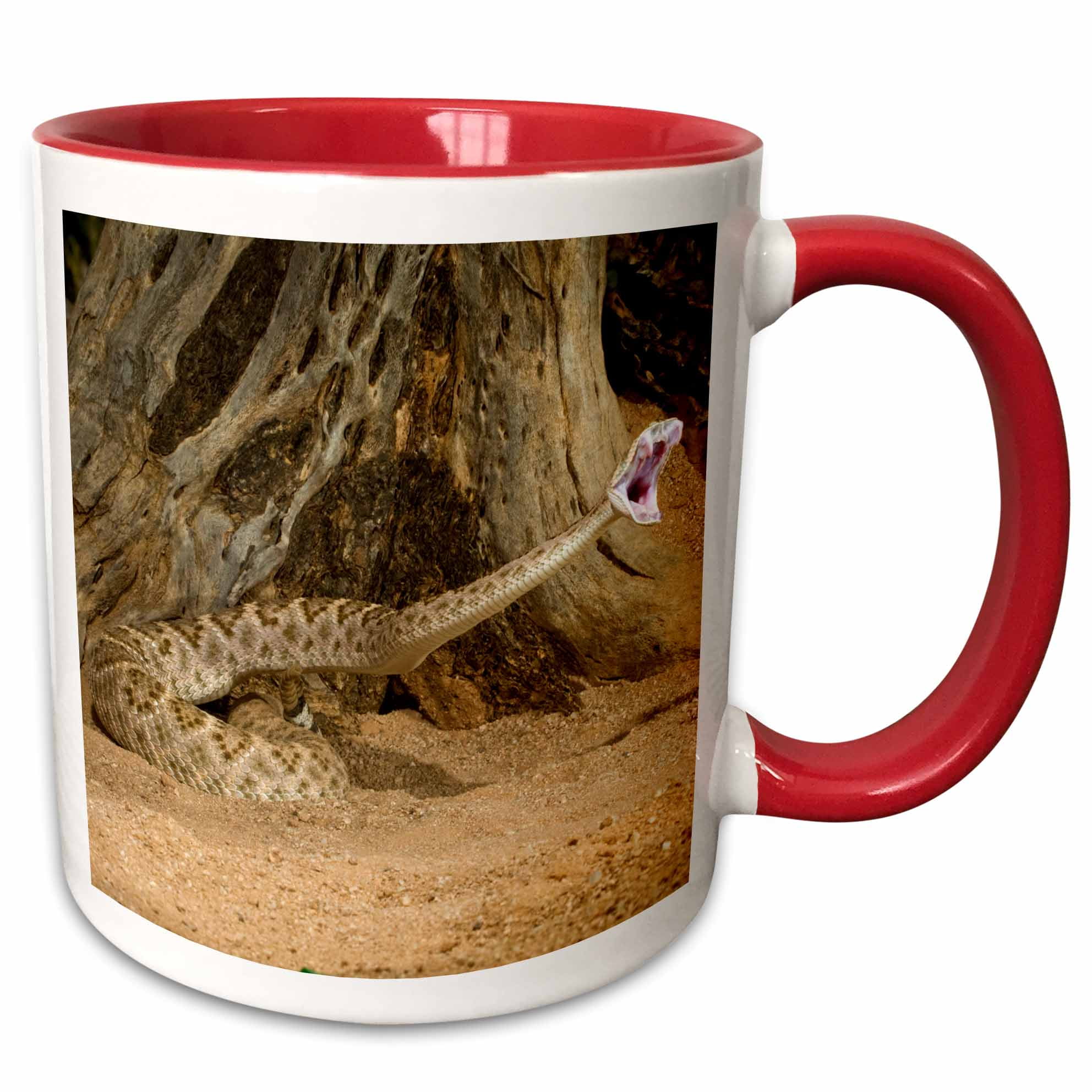 3drose, Western Diamondback Rattlesnake Striking - Na02 Dno0768 - David ...