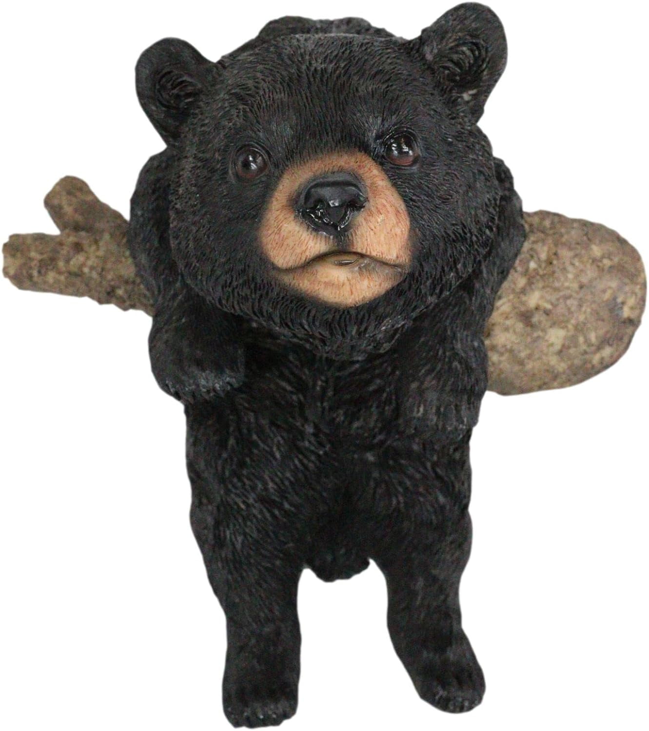 Western Forest Acrobat Black Bear Cub Dangling On Tree Branch Wall Hanging Plaque Cabin Country ...